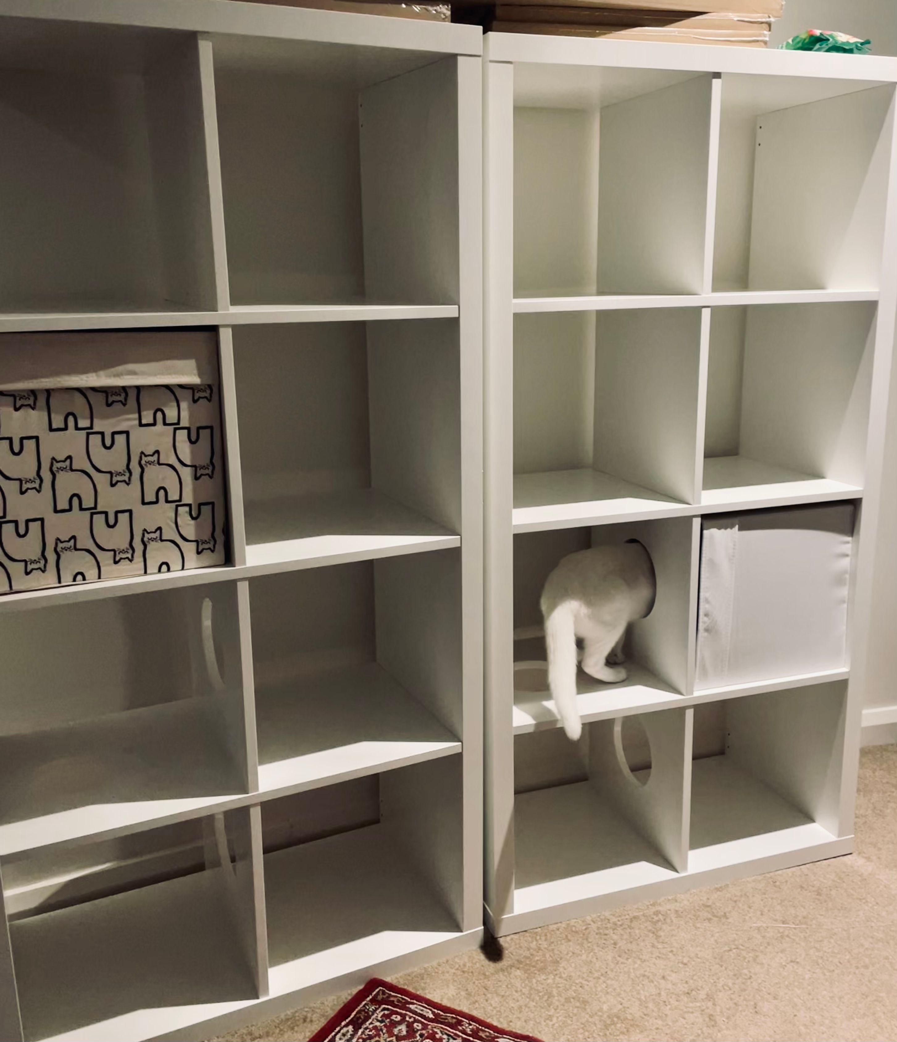 Solved: How do I secure MDF board so I can use a... | Bunnings Workshop ...