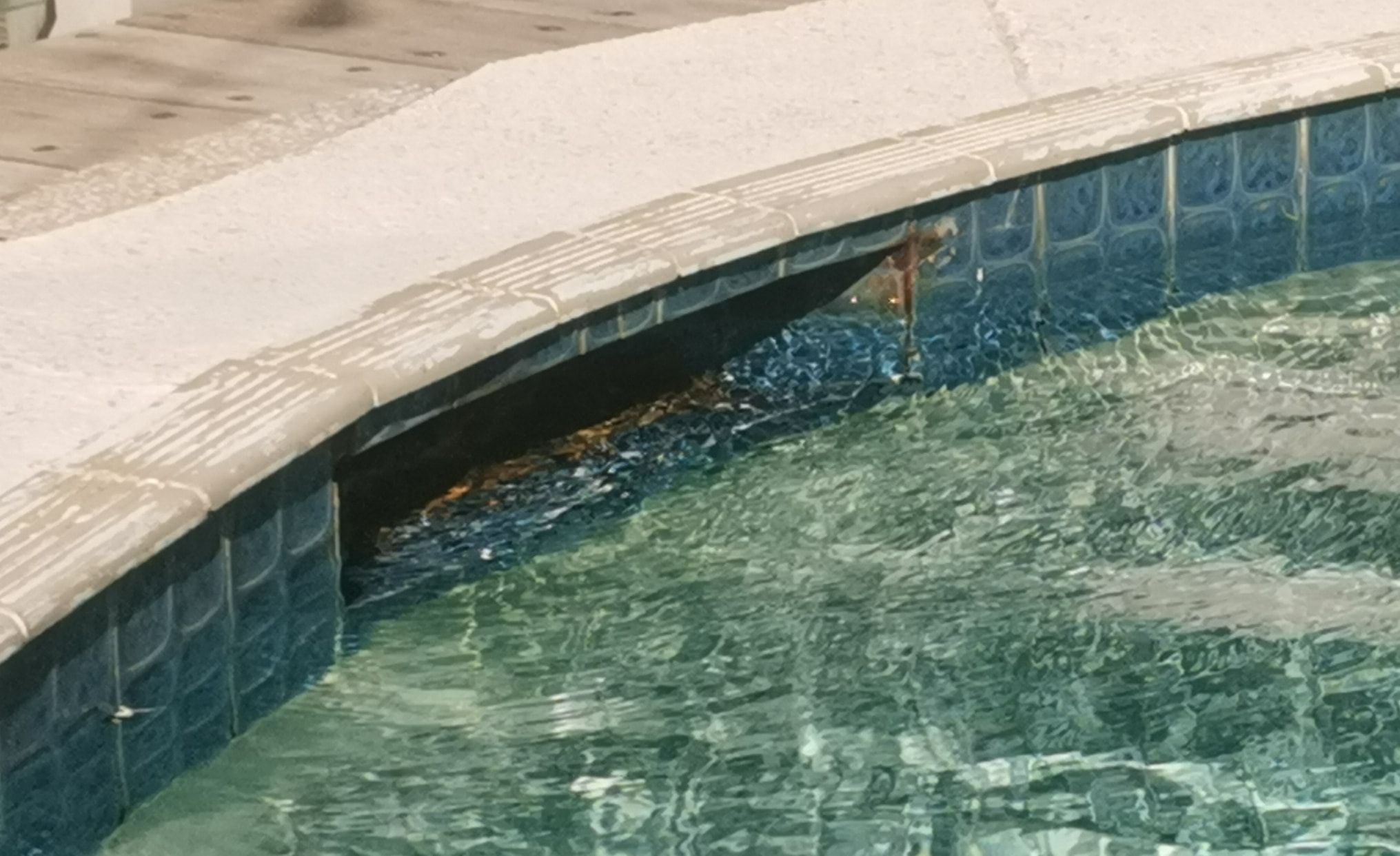 How to cover up an unused pool intake? | Bunnings Workshop community