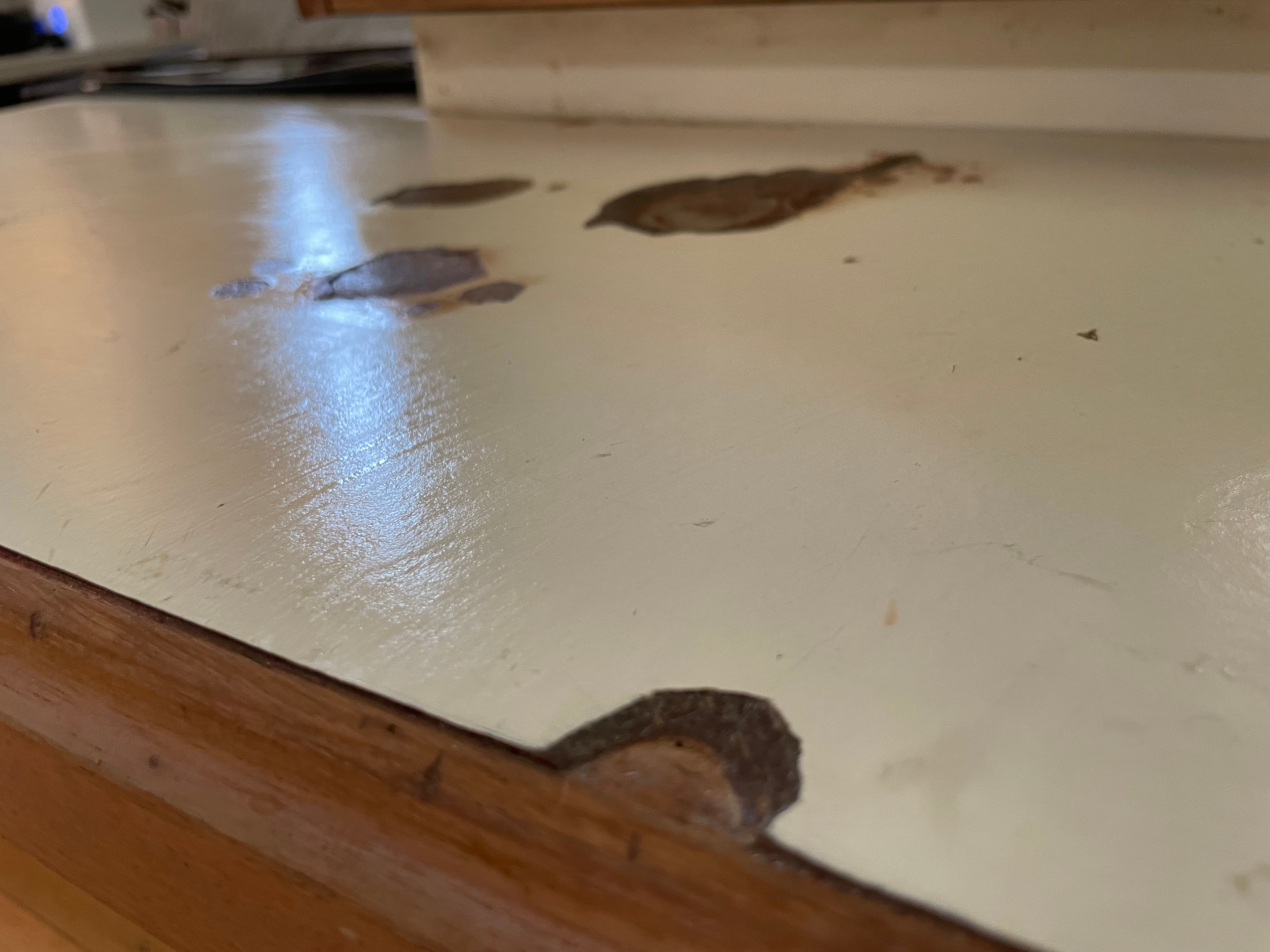 How to prepare damaged kitchen benches f... | Bunnings Workshop community