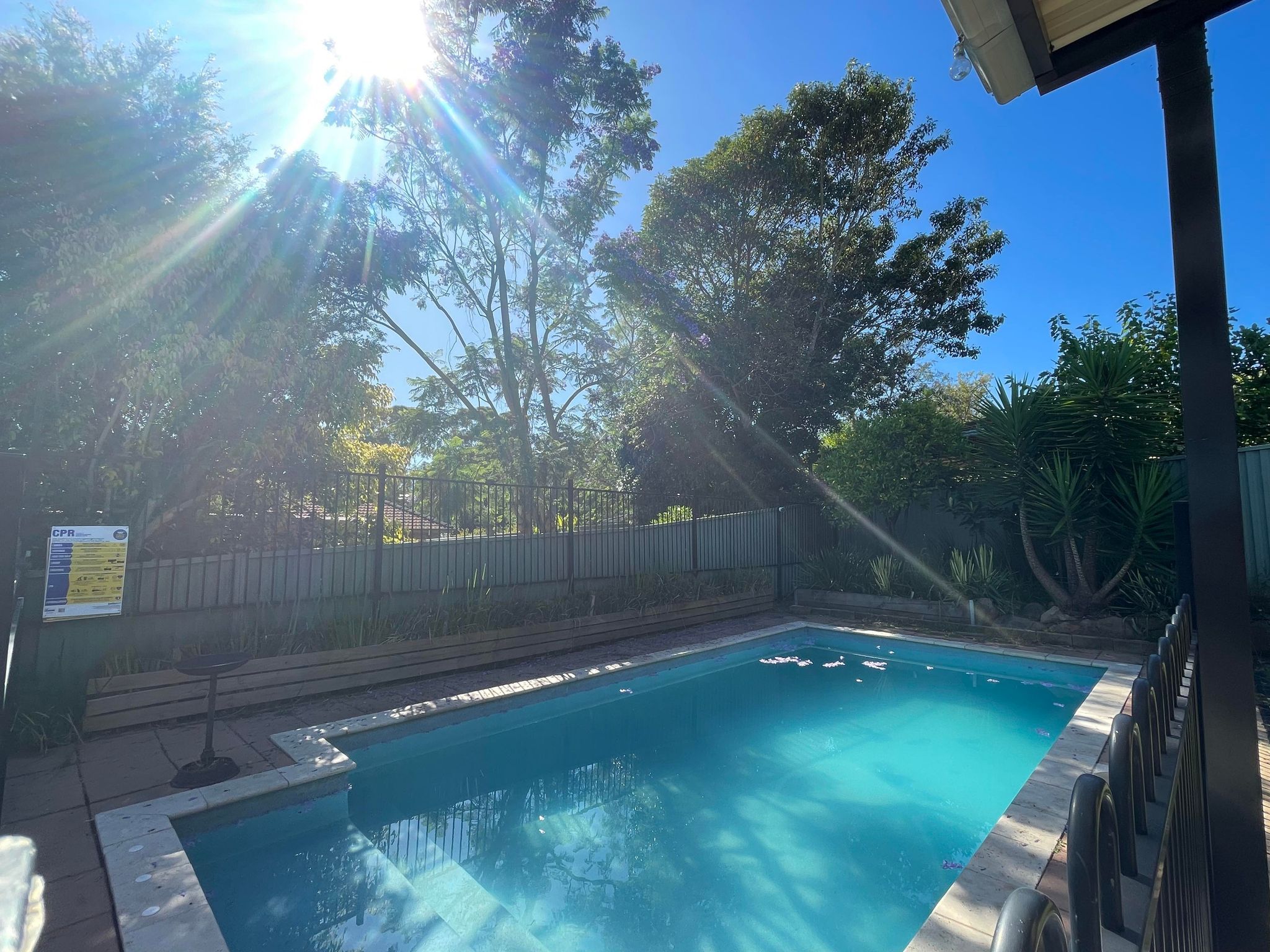 How to improve pool area and add privacy... | Bunnings Workshop community