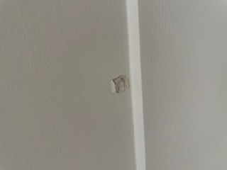 How to fix bulges and cracks on ceiling? | Bunnings Workshop community