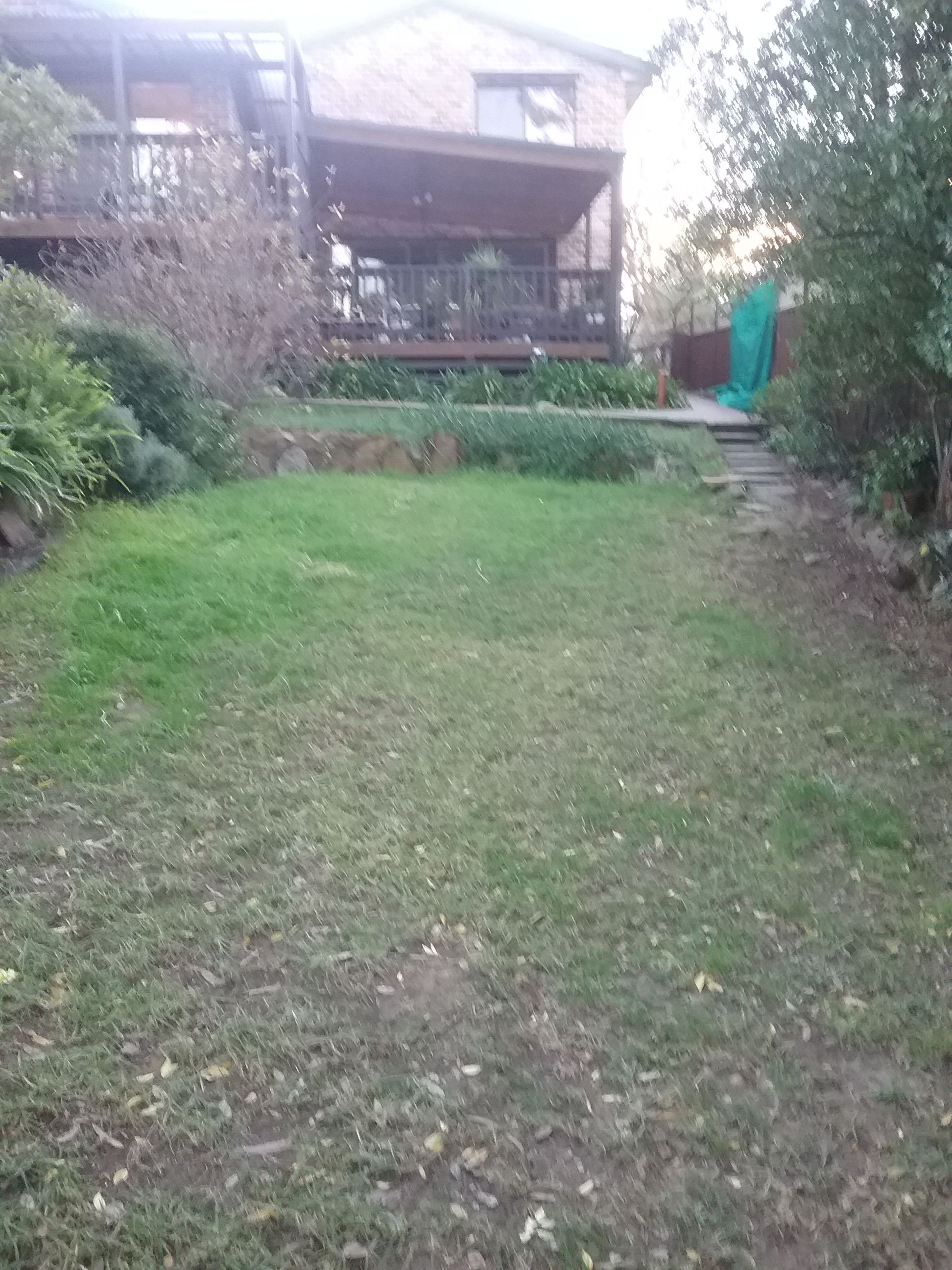 What to do with a cracked concrete path? | Bunnings Workshop community