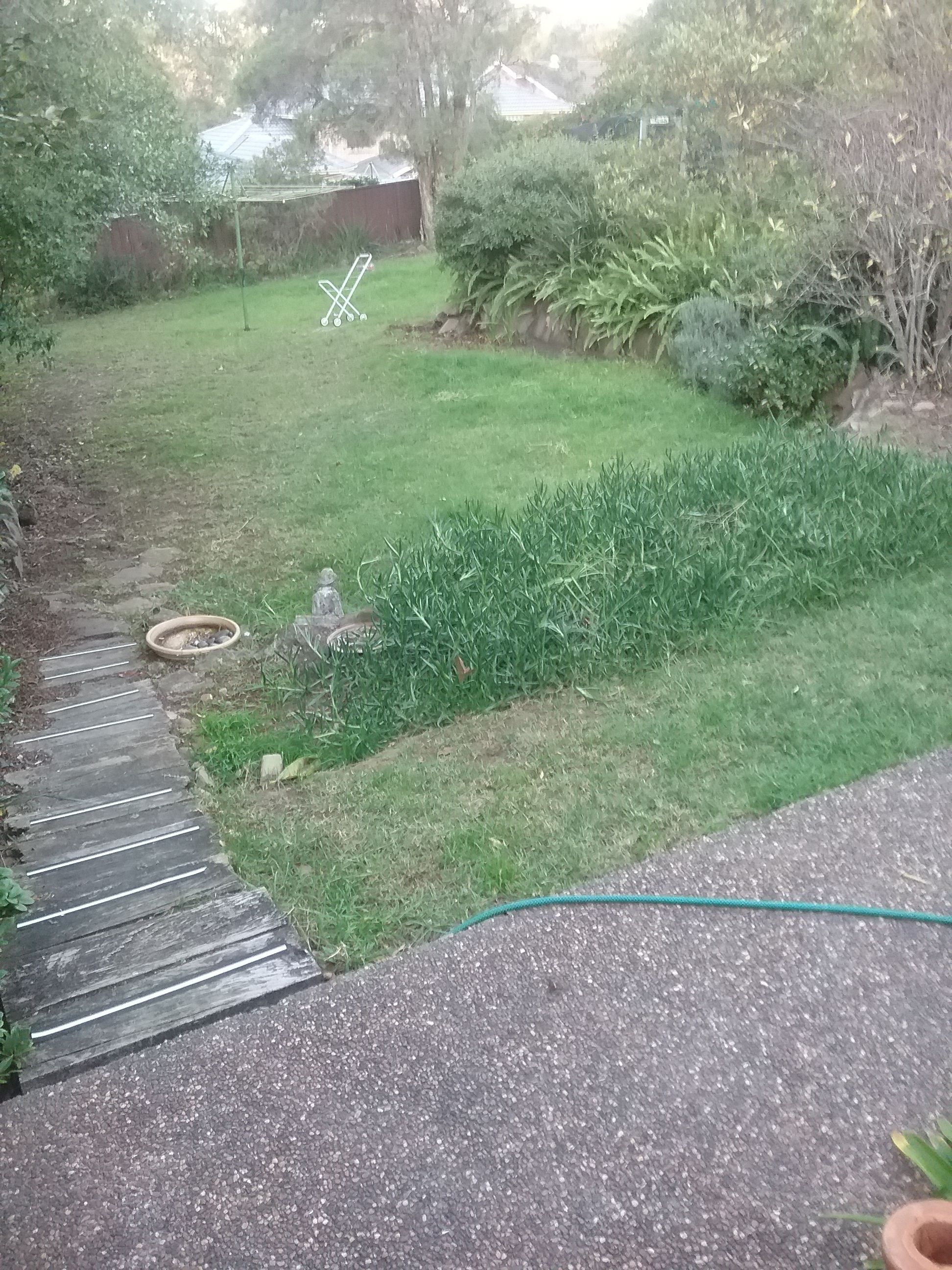 What to do with a cracked concrete path? | Bunnings Workshop community