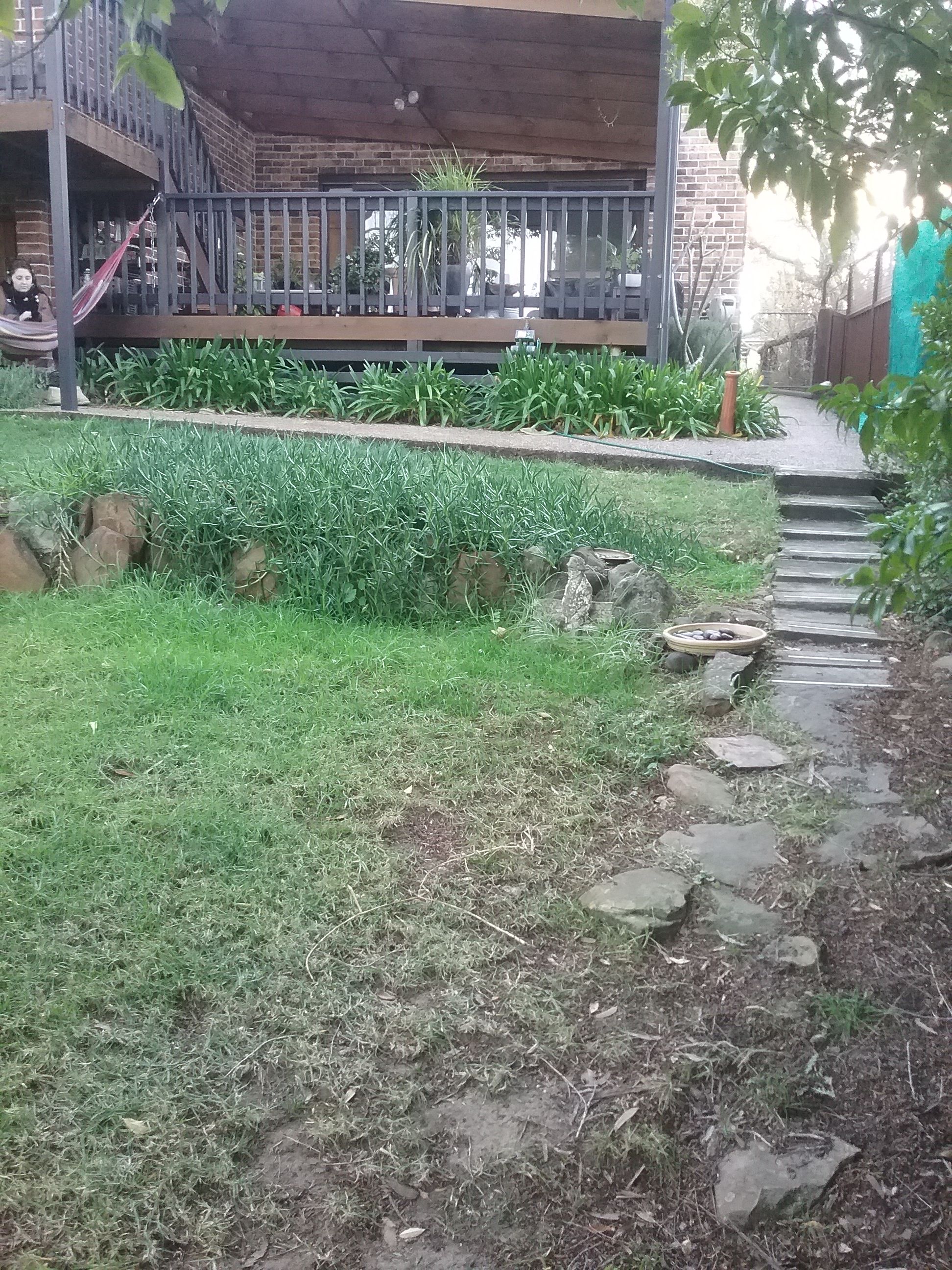 What to do with a cracked concrete path? | Bunnings Workshop community