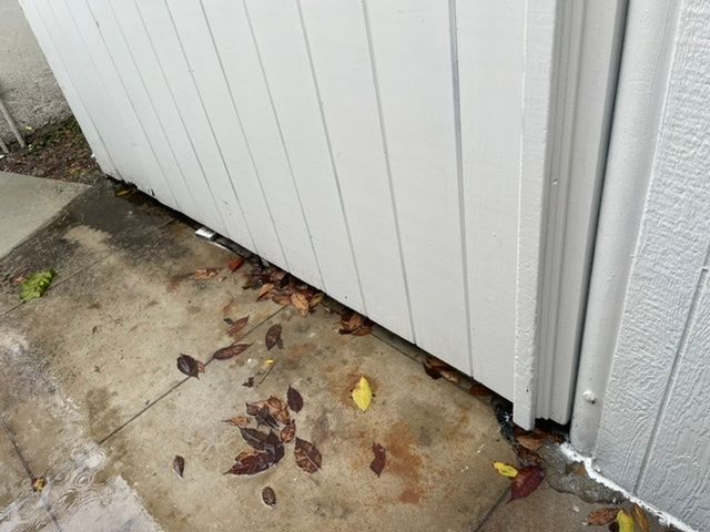 How to seal and waterproof shed? | Bunnings Workshop community