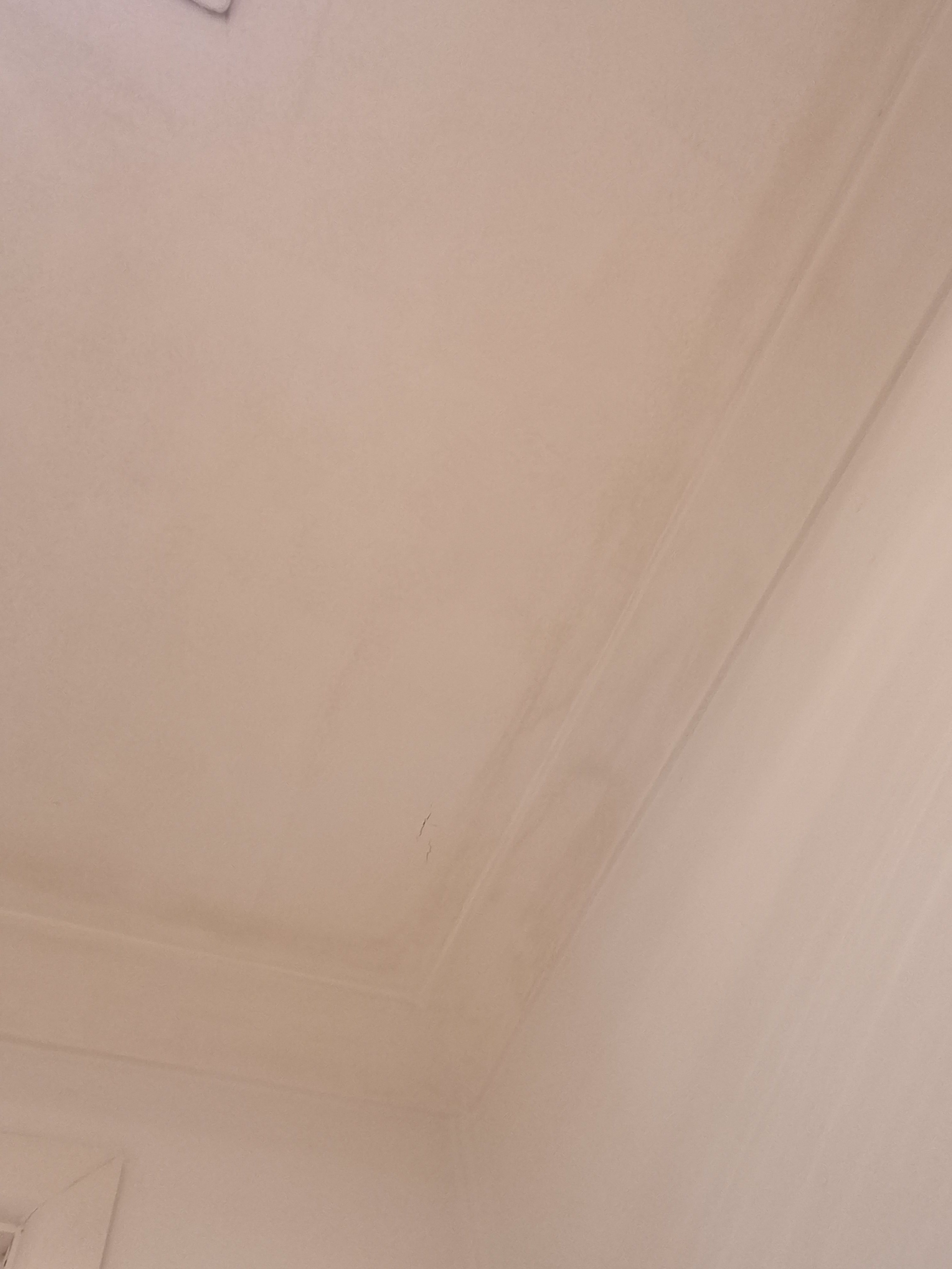 How to fix dark spots on ceiling? | Bunnings Workshop community