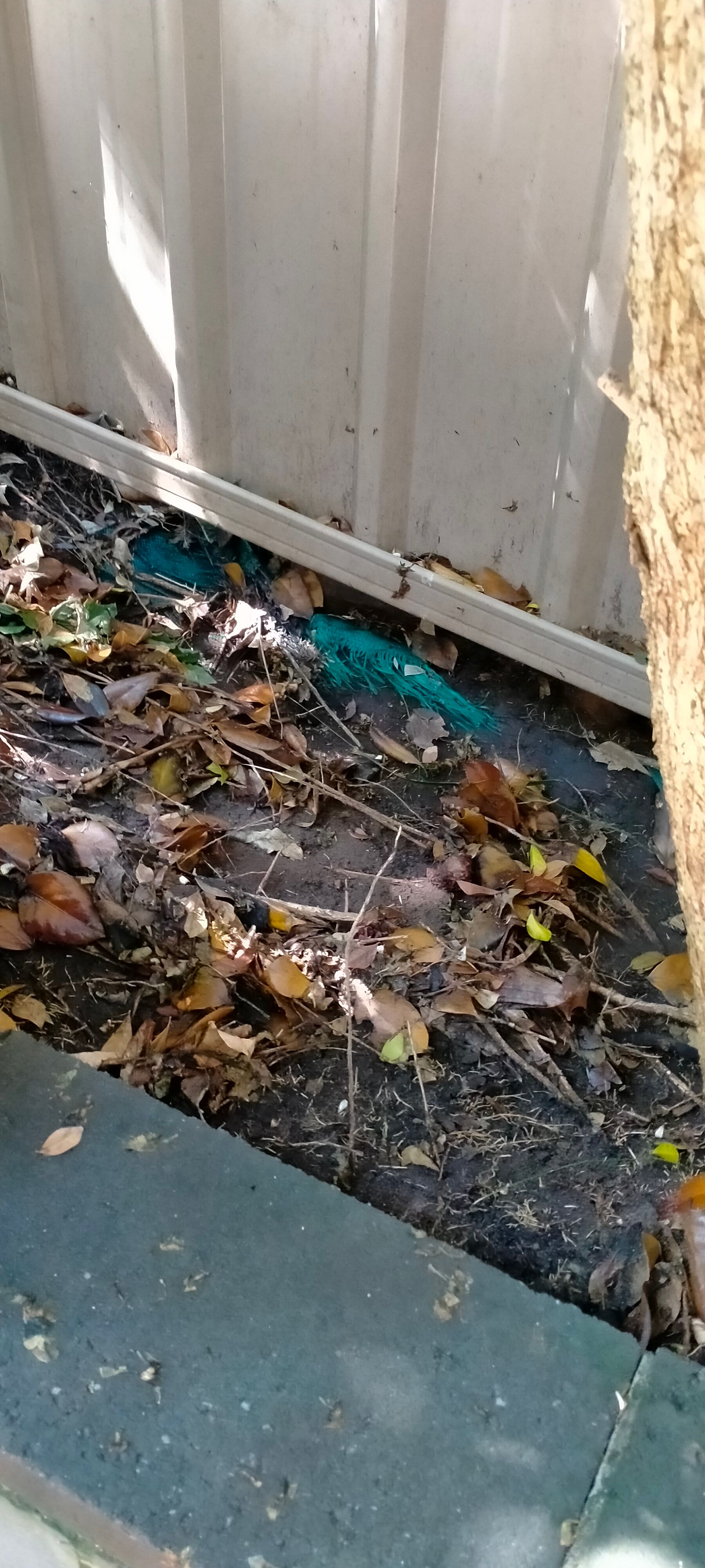 Solved: How to improve drainage? | Bunnings Workshop community