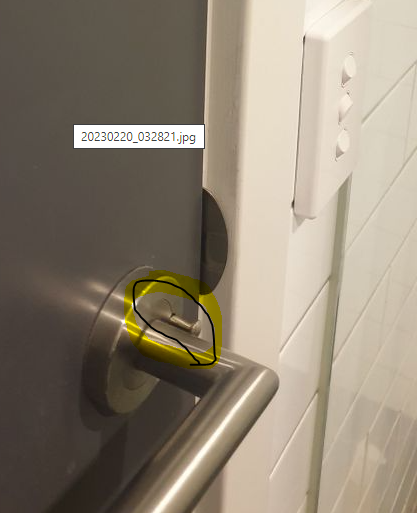 Recommendations for a bathroom lock? | Bunnings Workshop community