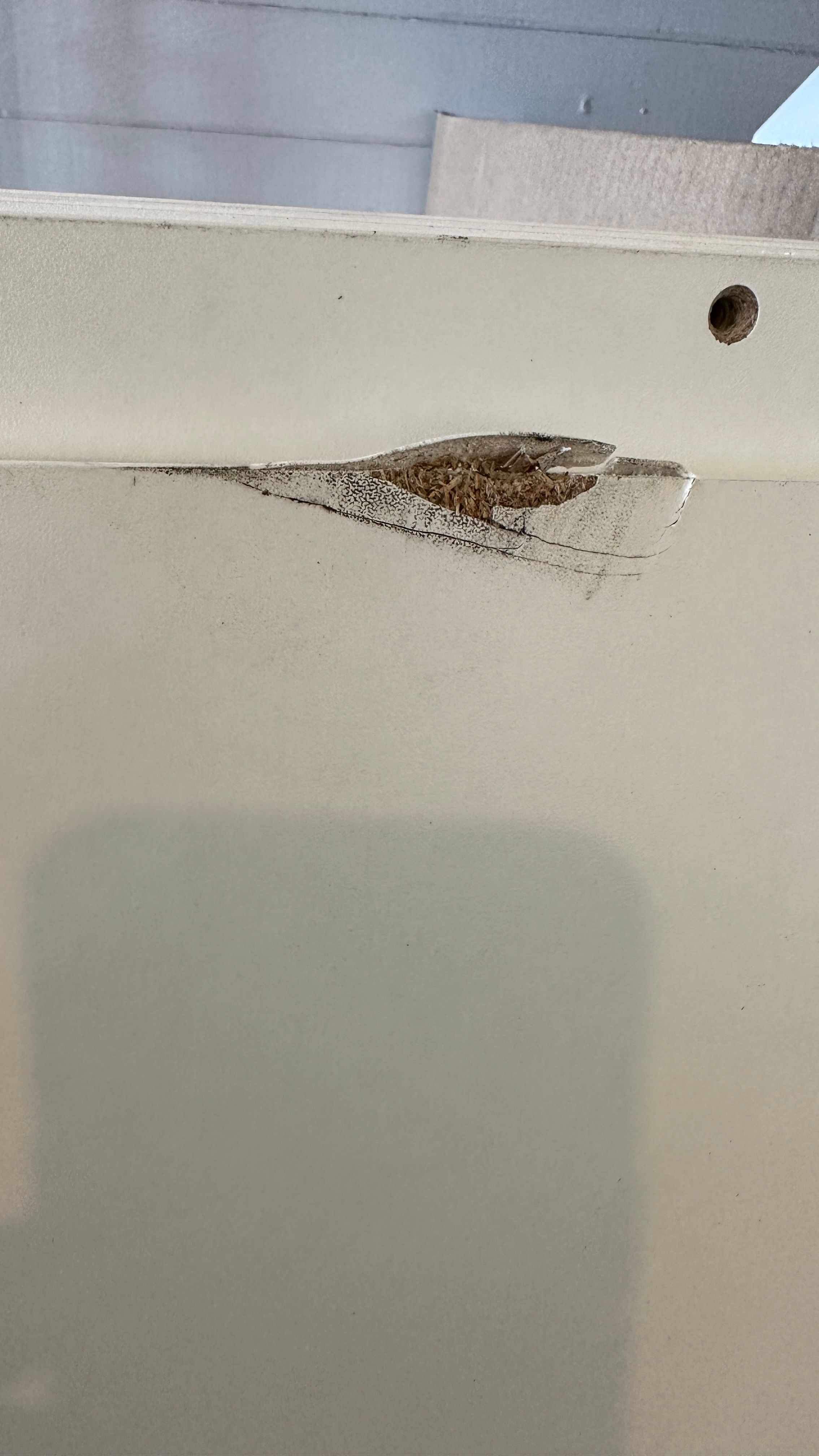 Assembling the Practa Modular Kitchen | Bunnings Workshop community