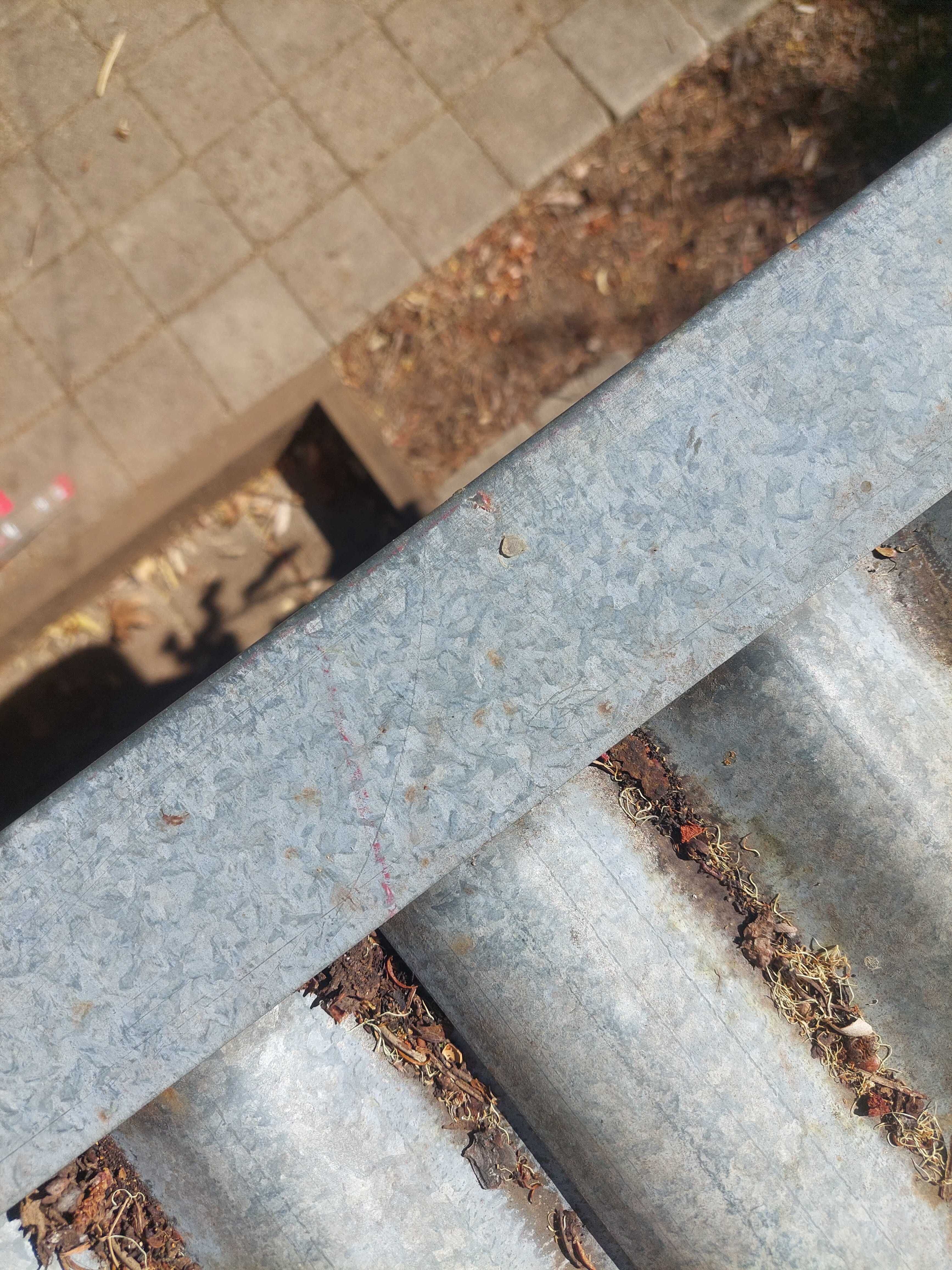 How do I fix a rusty shed roof? | Bunnings Workshop community