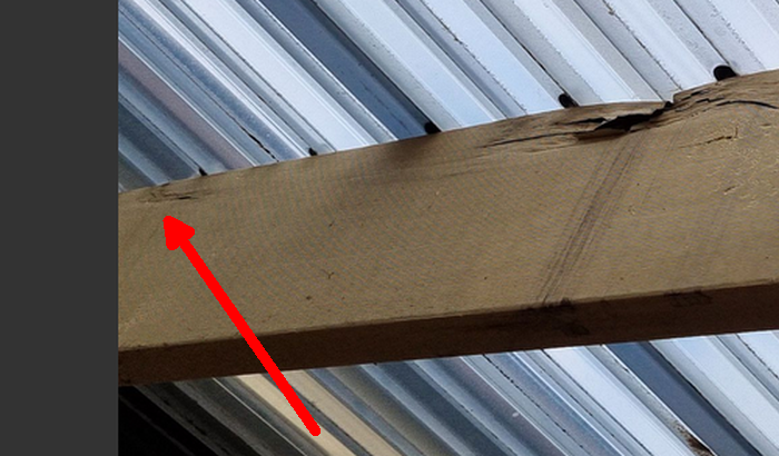 How to fix water-damaged timber posts? | Bunnings Workshop community