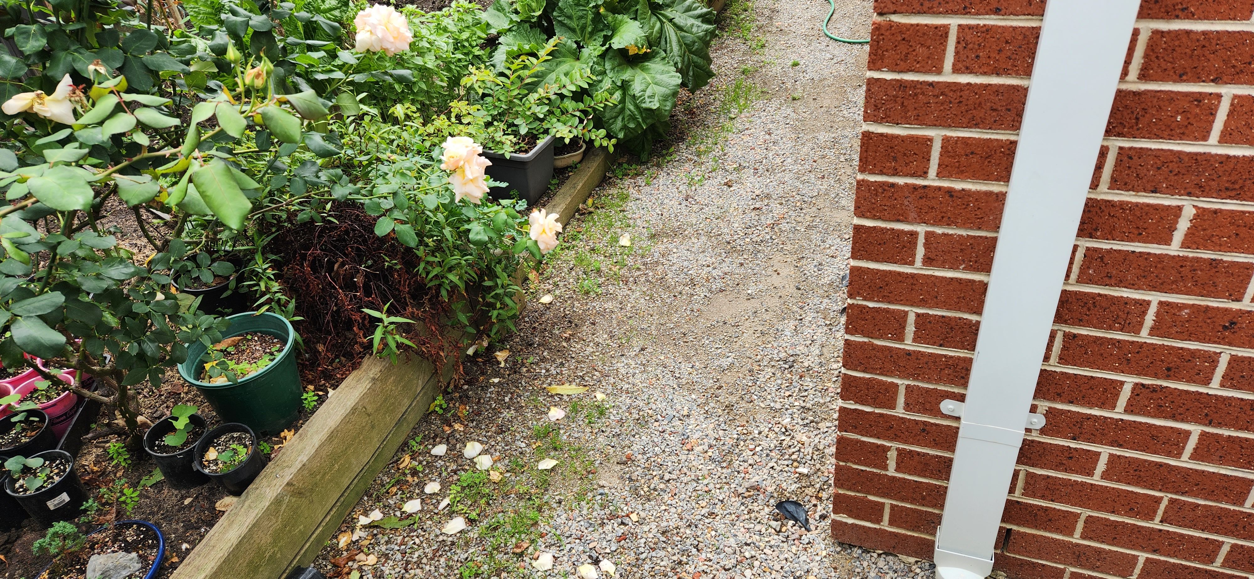 Low-level deck and pergola project - Page 2 | Bunnings Workshop community