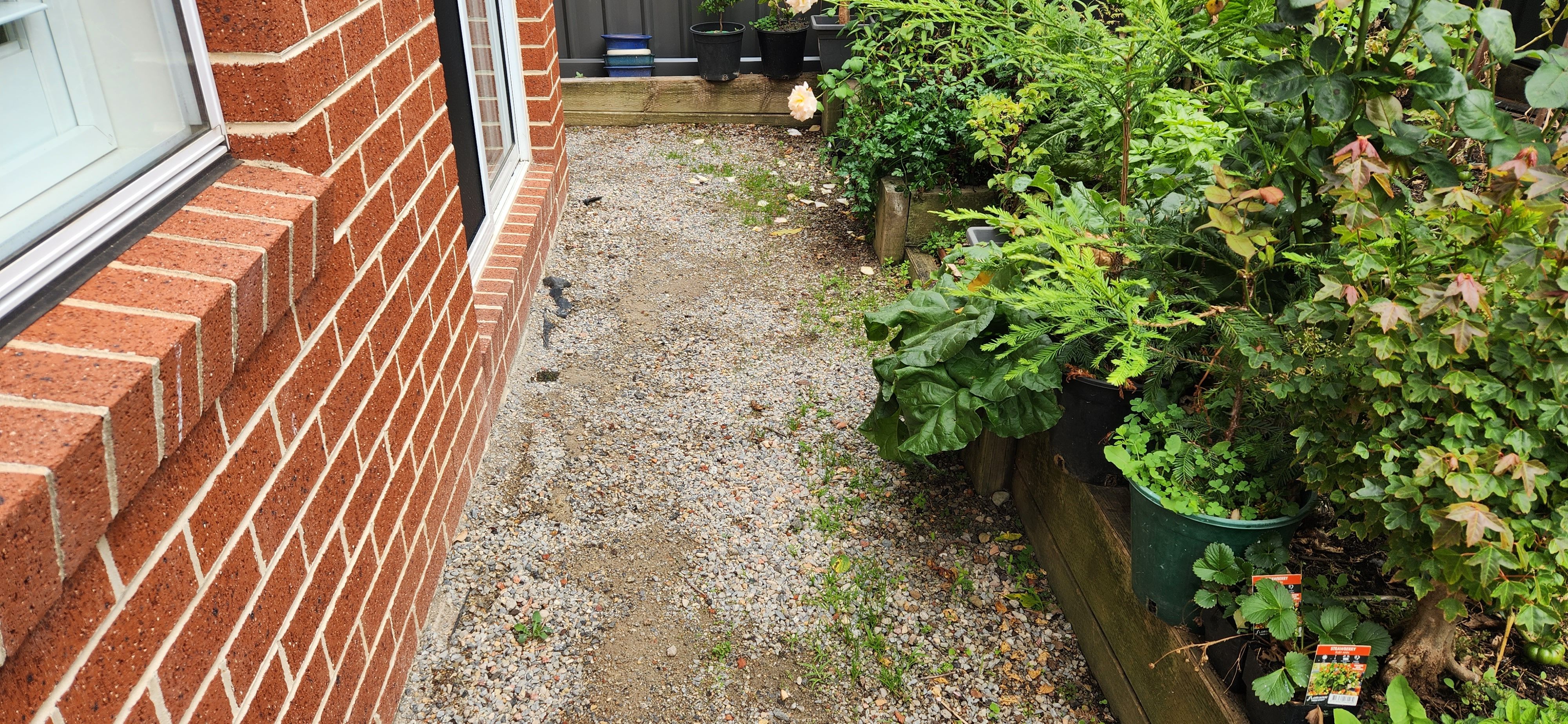 Low-level deck and pergola project | Bunnings Workshop community