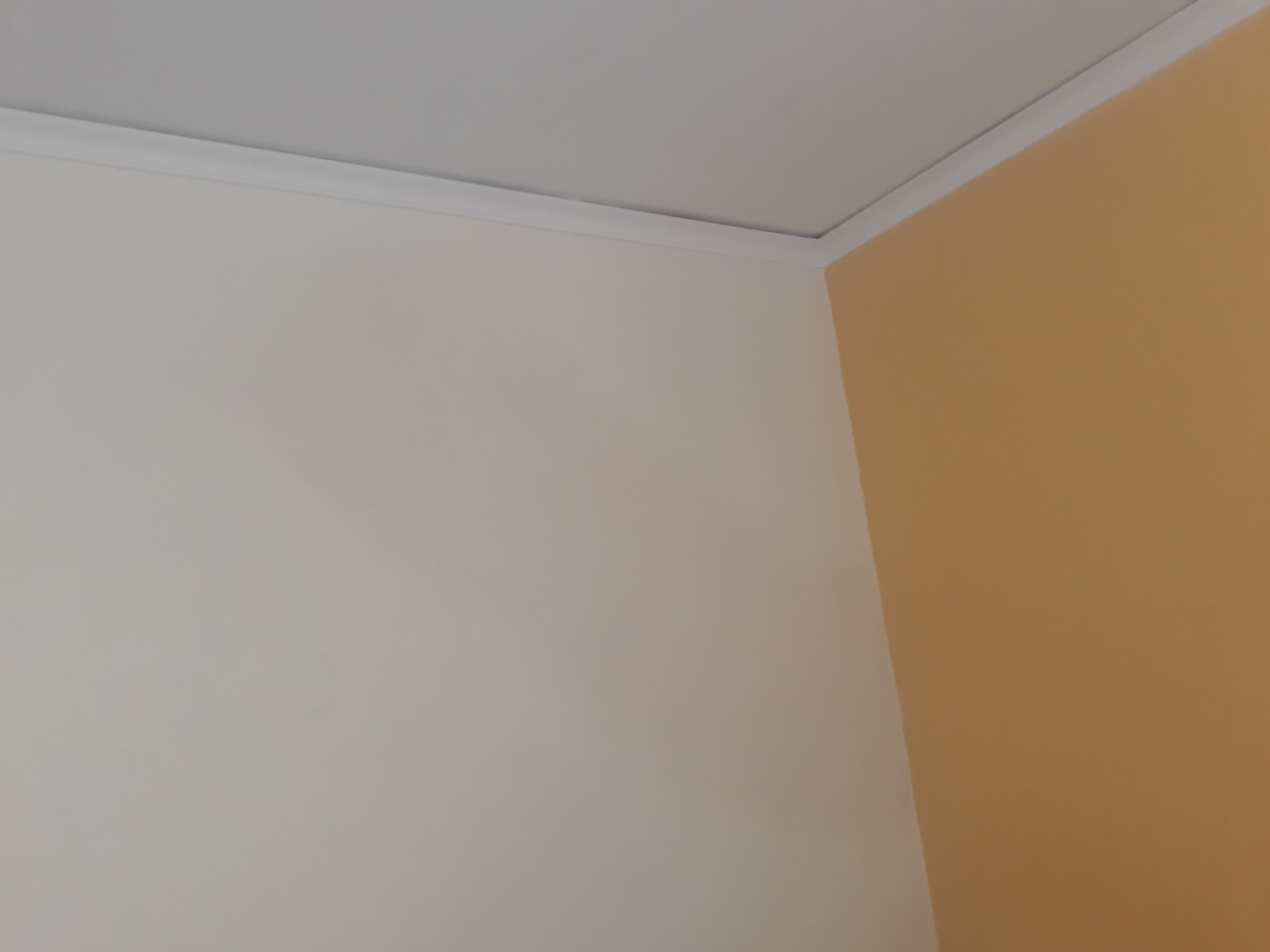 Why is the paint completely peeling off ... | Bunnings Workshop community