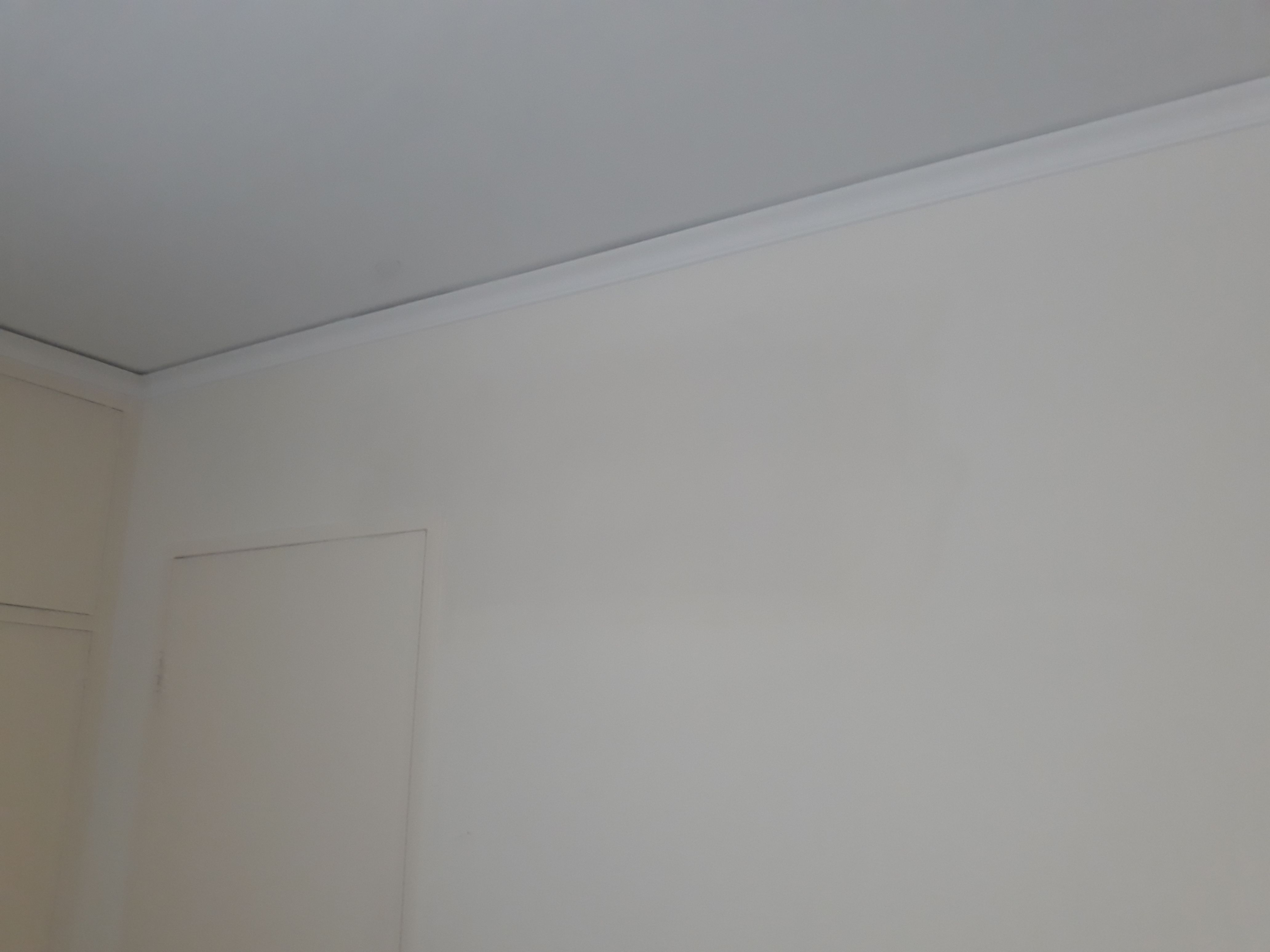 Why is the paint completely peeling off ... | Bunnings Workshop community