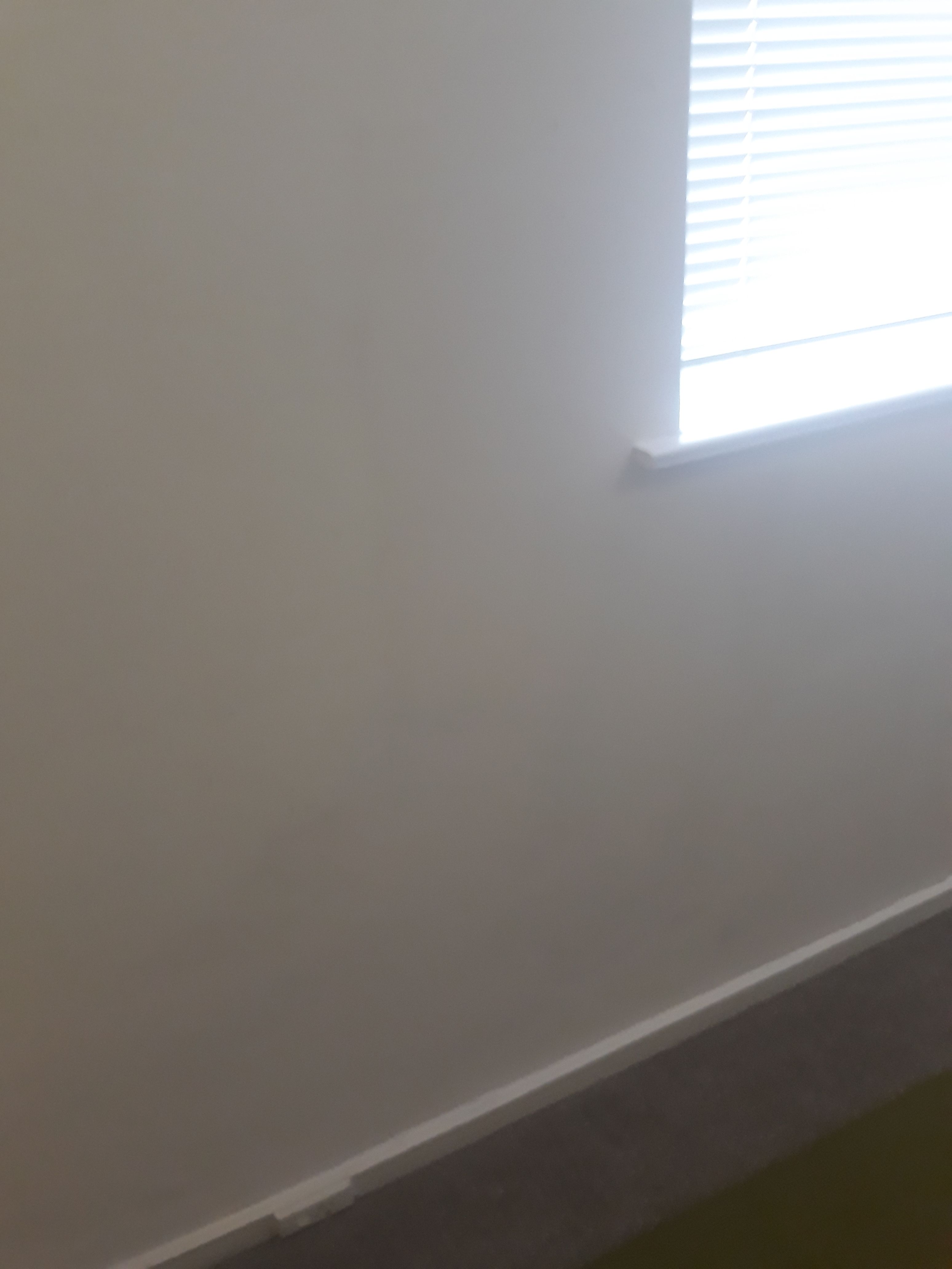 Why is the paint completely peeling off ... | Bunnings Workshop community