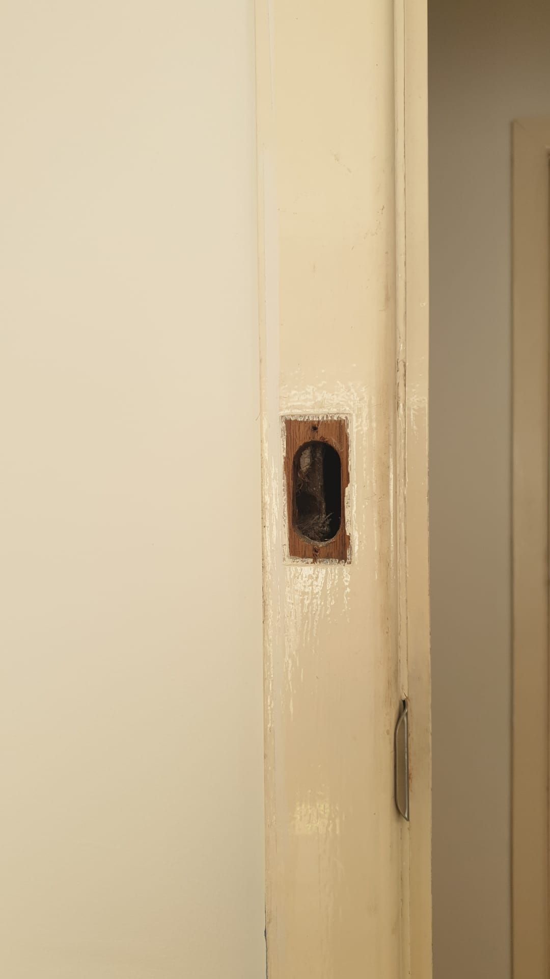 How to fill old light switch hole? | Bunnings Workshop community