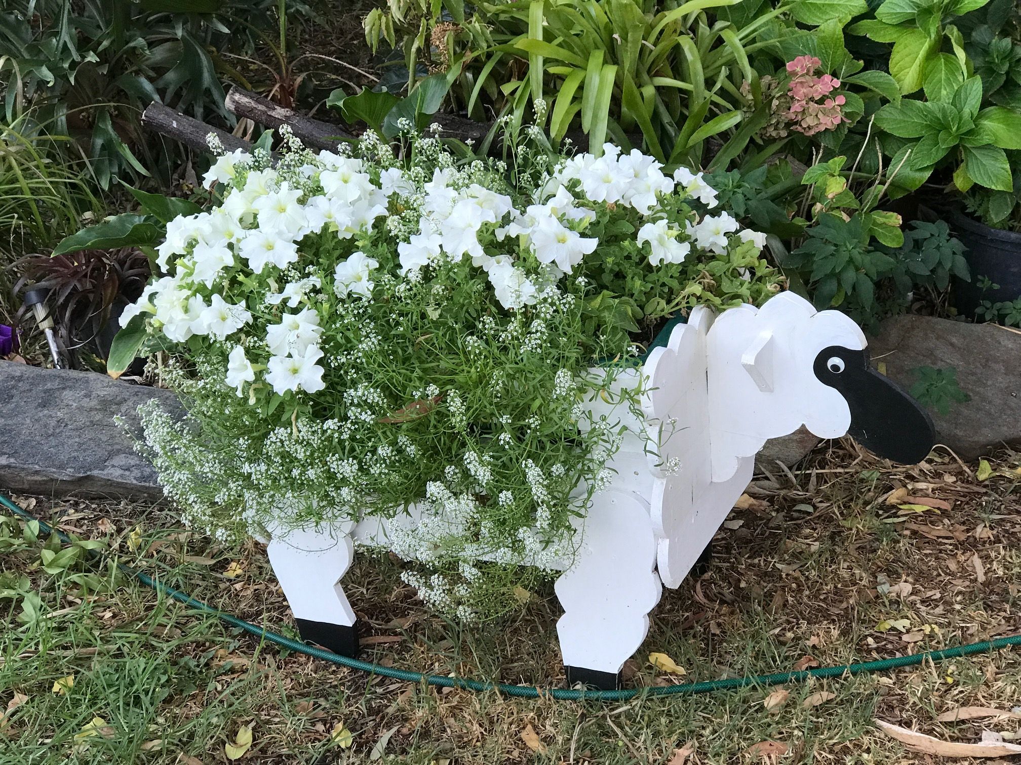 How to make a sheep planter | Bunnings Workshop community