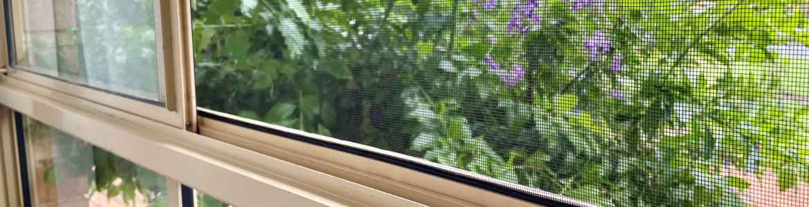 How to clean a fly screen | Bunnings Workshop community