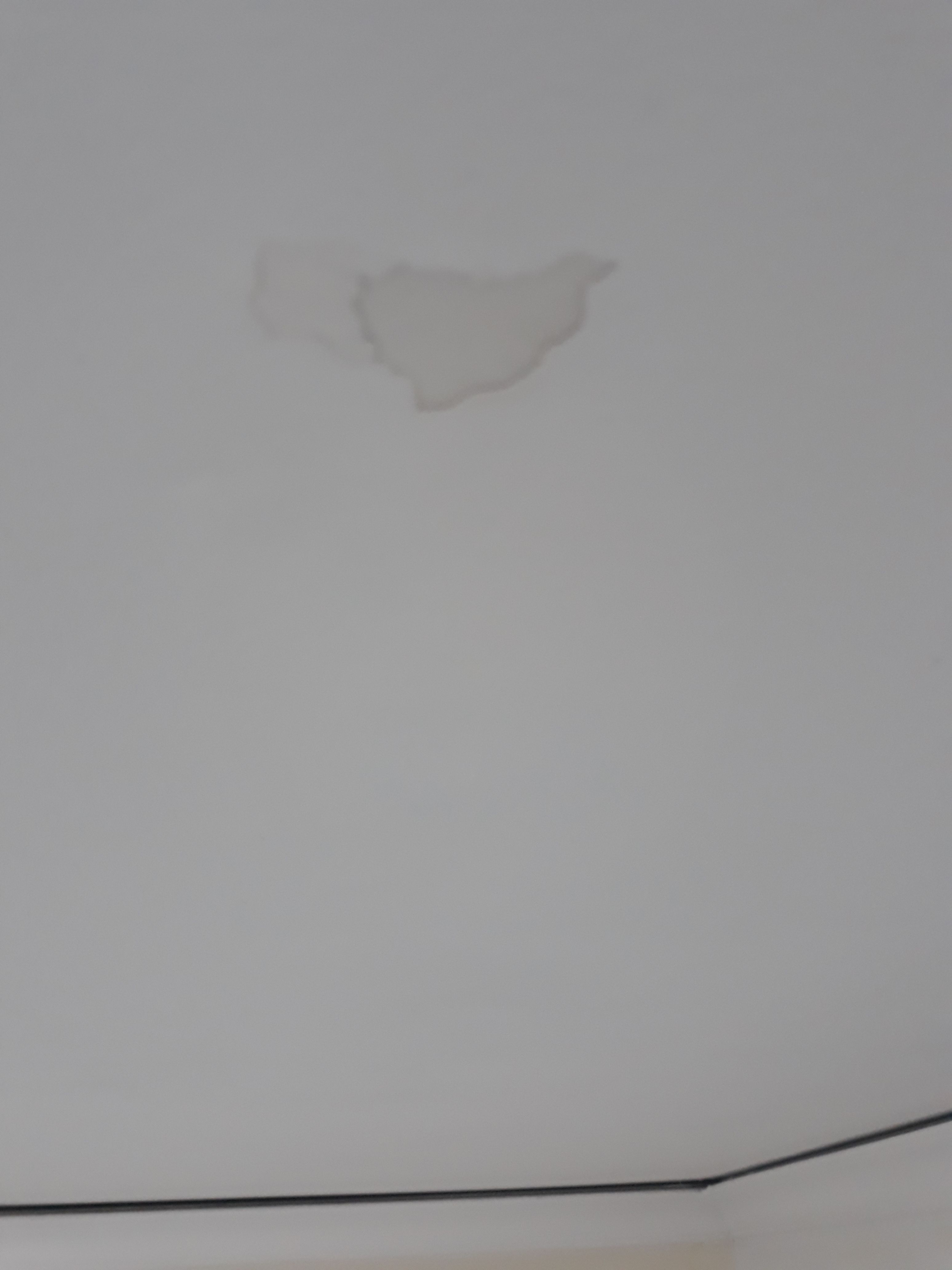 Why is the paint completely peeling off ... | Bunnings Workshop community