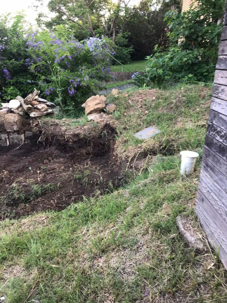 My Images for Dave-1 | Bunnings Workshop community