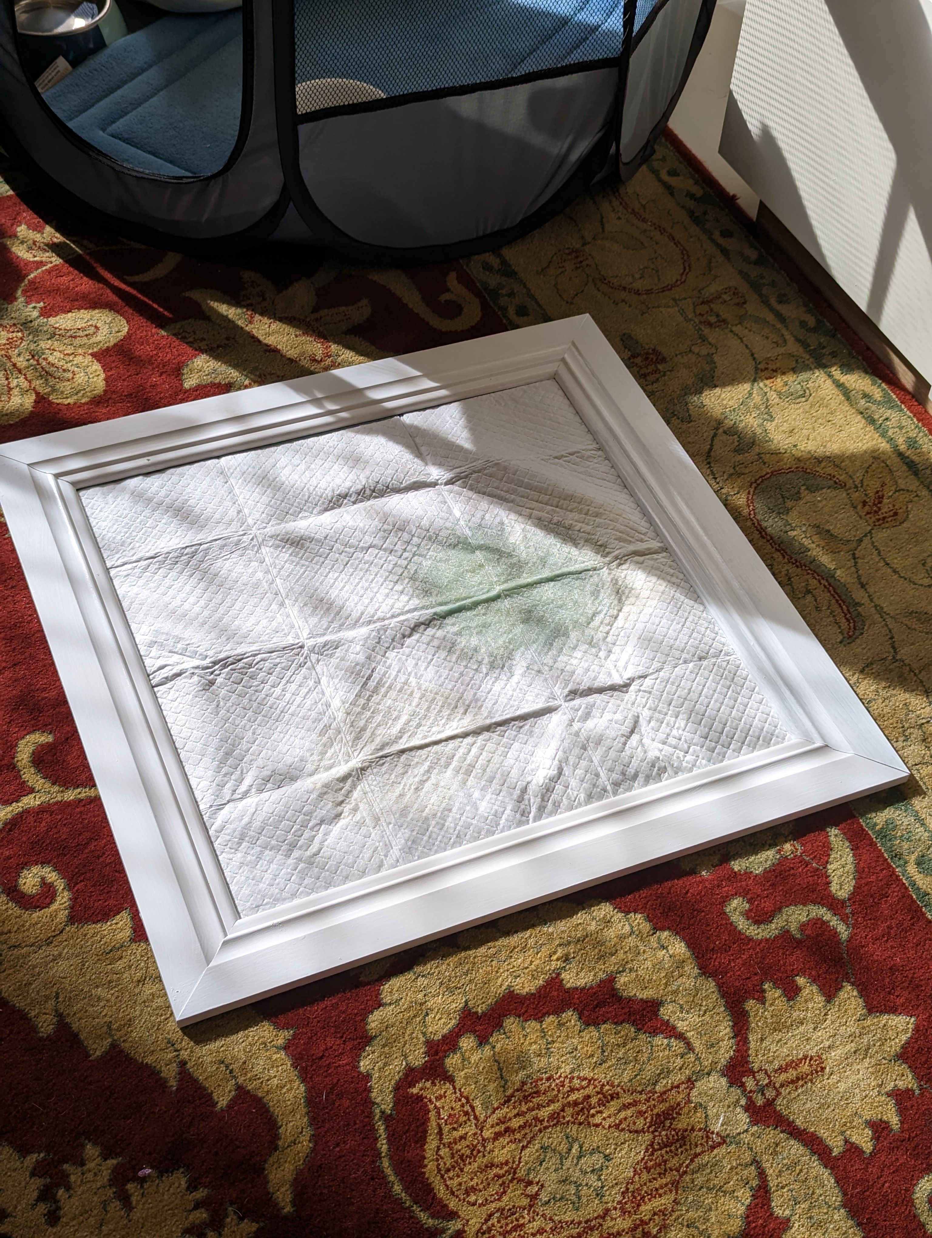 Frame to keep puppy pee pad flat | Bunnings Workshop community