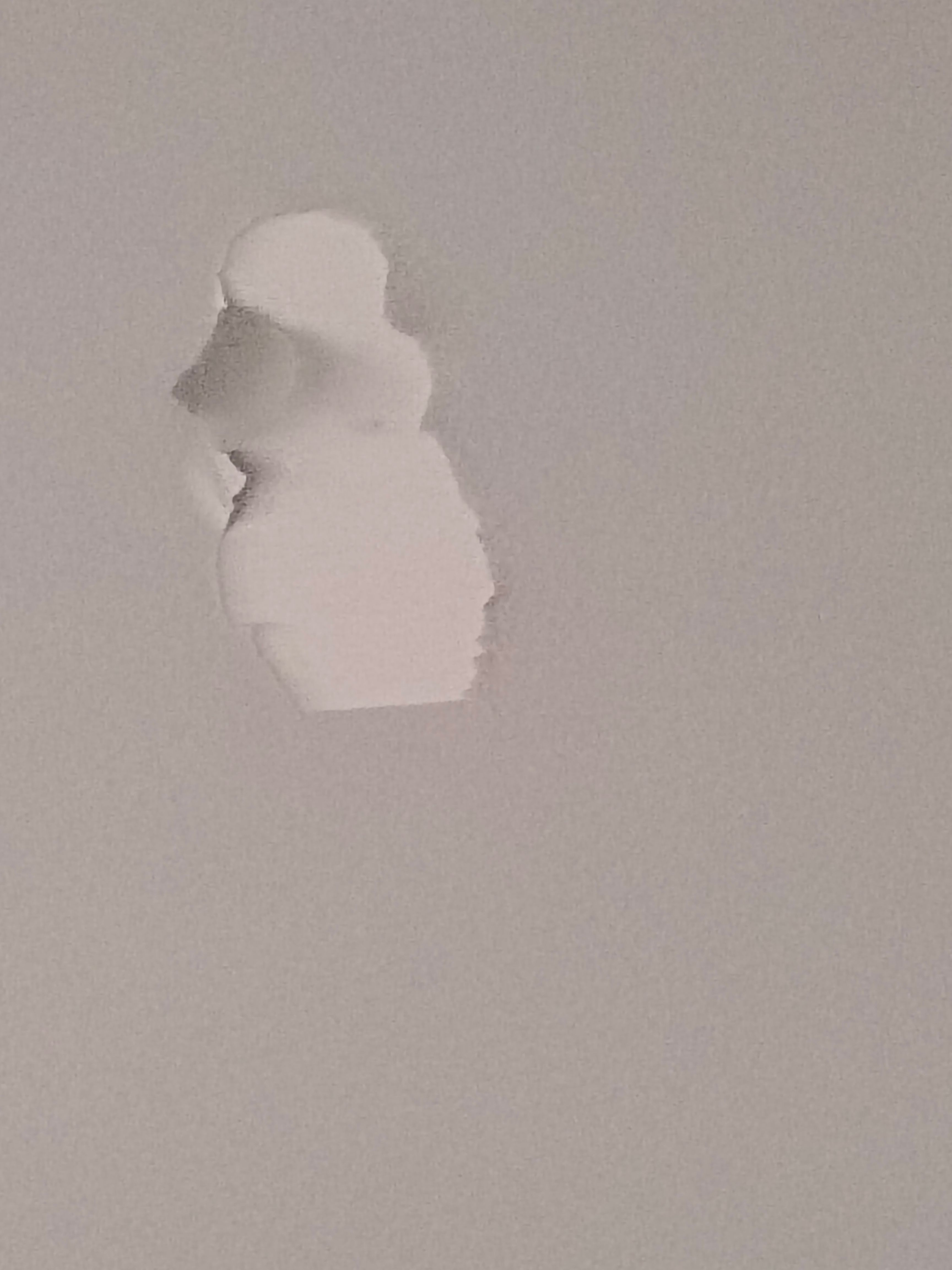 How to fix a paint rip? | Bunnings Workshop community