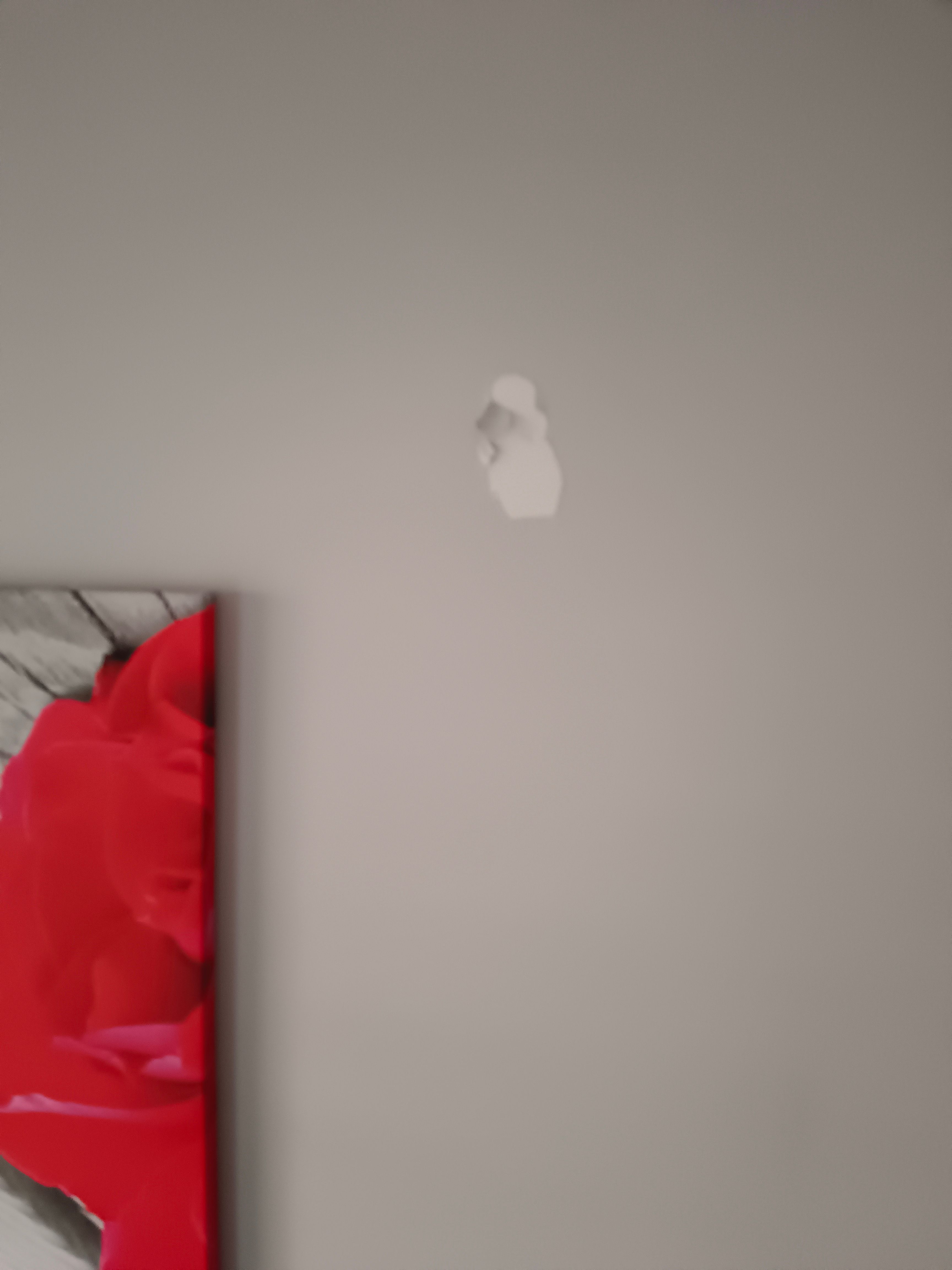 How to fix a paint rip? | Bunnings Workshop community