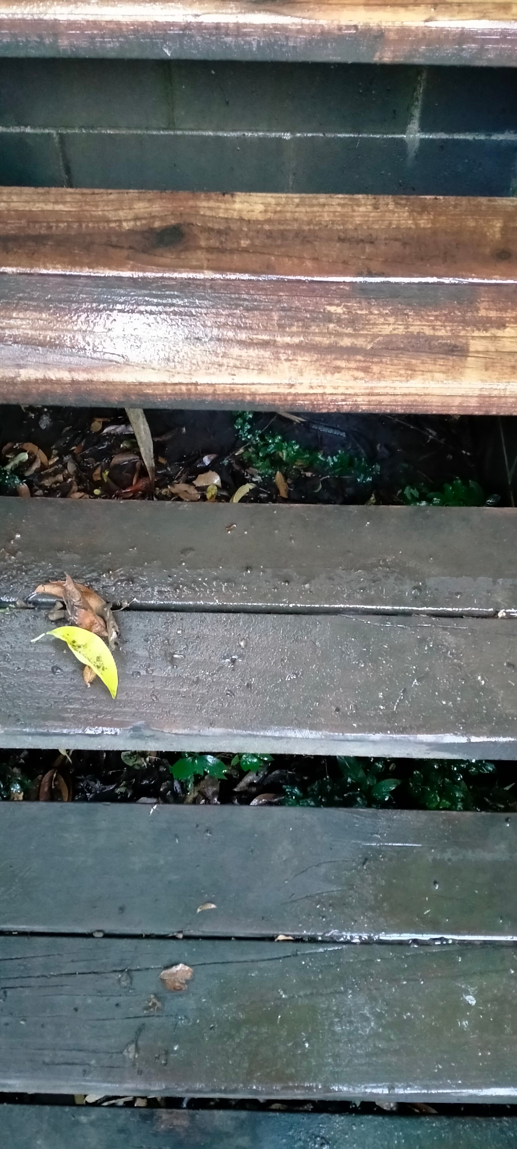 How to remove outdoor wooden steps? | Bunnings Workshop community