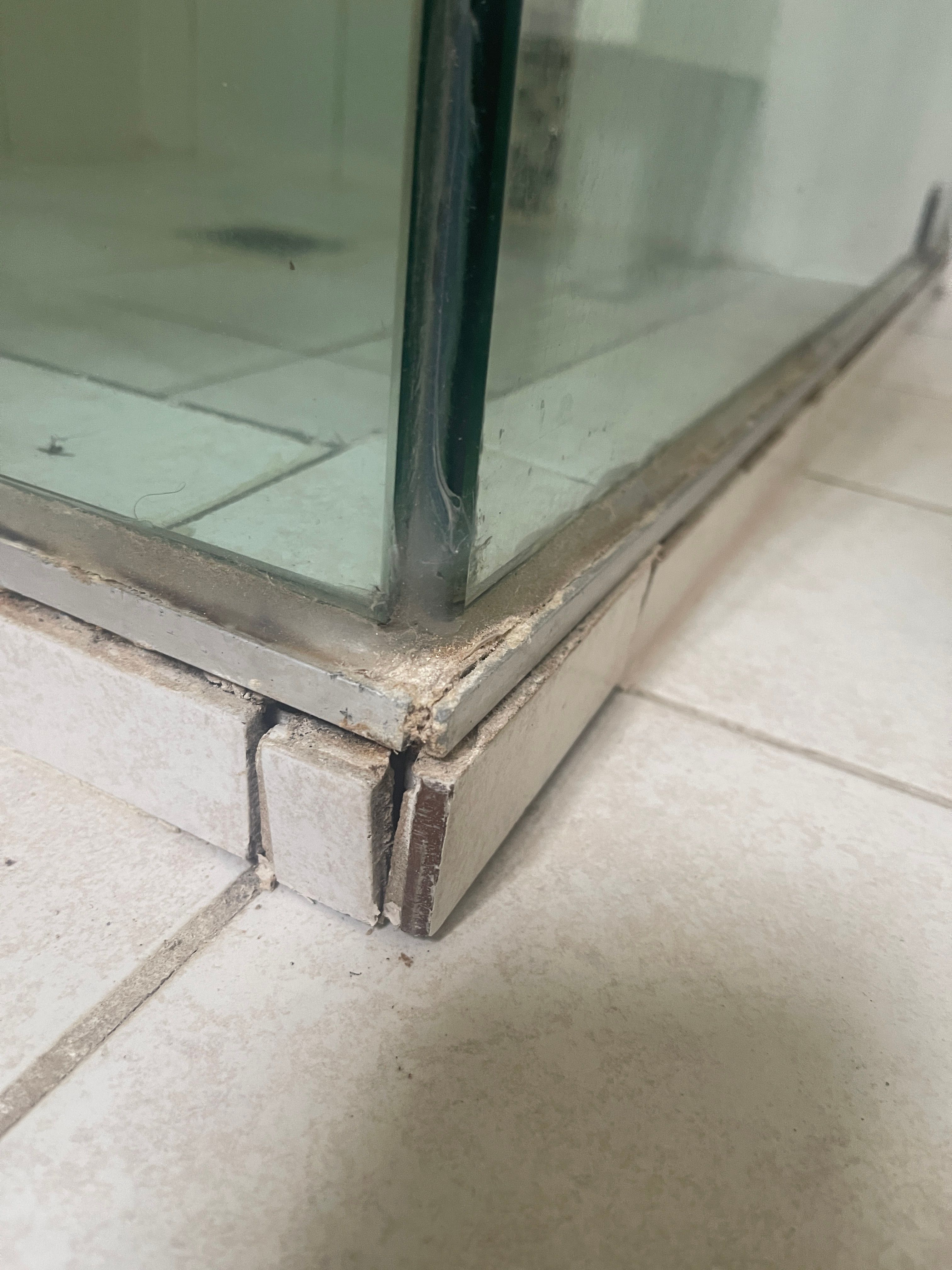 How to repair tiles on shower hob? | Bunnings Workshop community