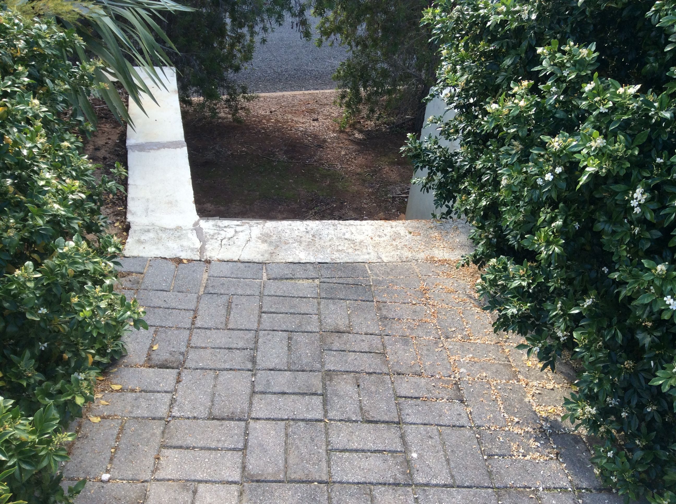 Solved: How to fix these steps? | Bunnings Workshop community