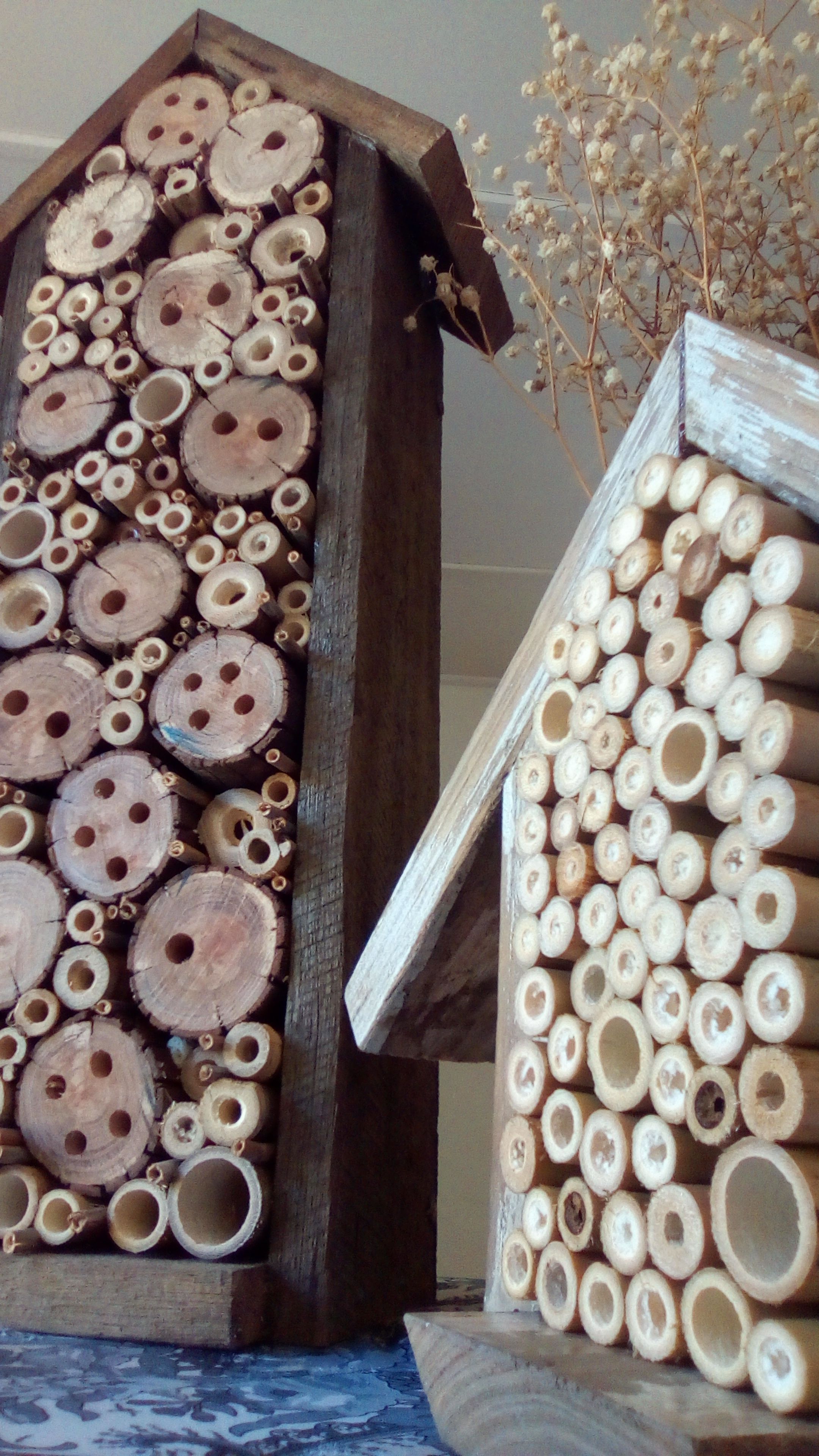 Native bee hives | Bunnings Workshop community