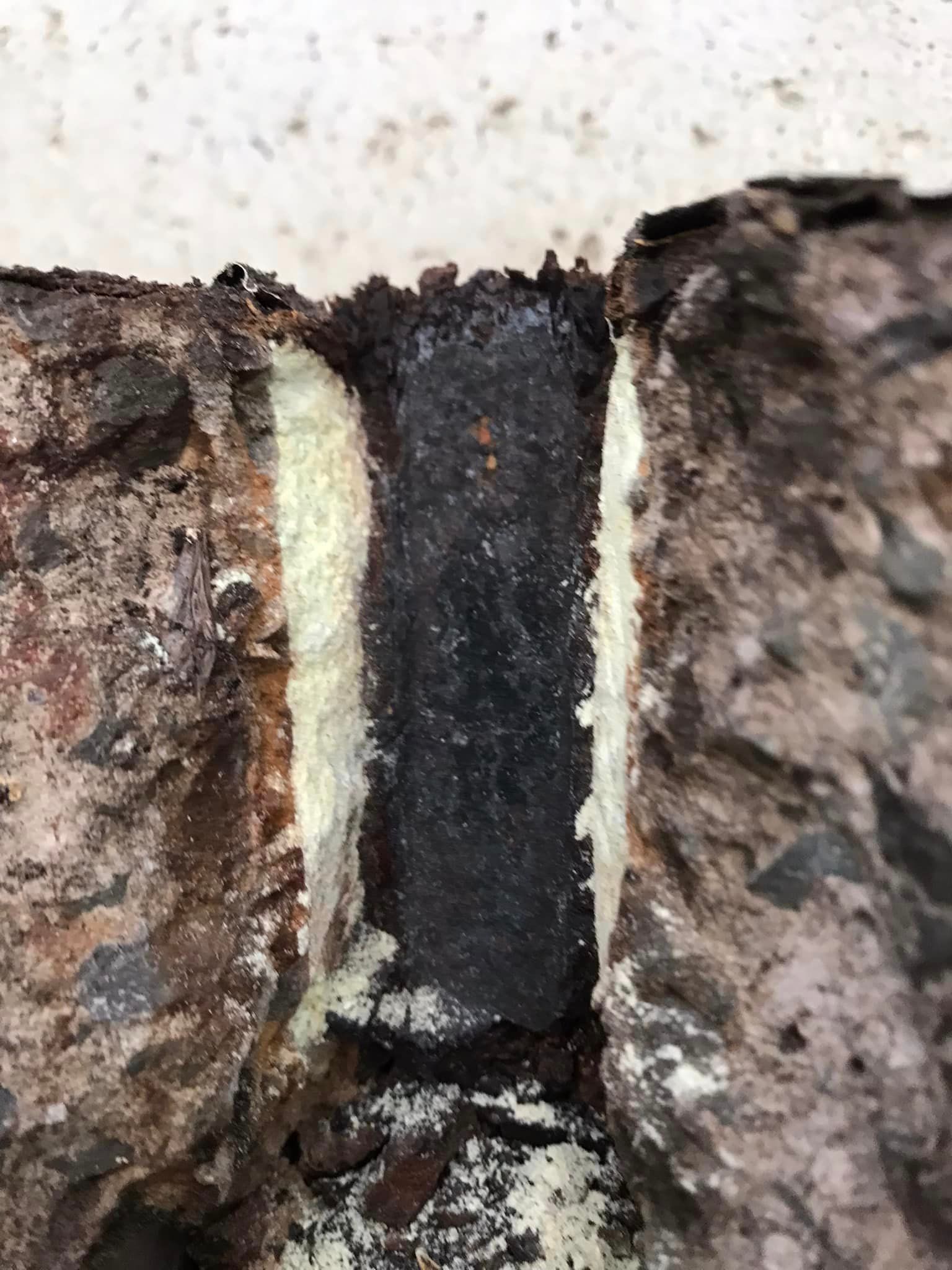 How to fix patio concrete crack and stee... | Bunnings Workshop community