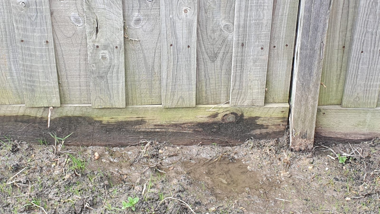 Solved: How to improve the drainage near the fen... | Bunnings Workshop ...