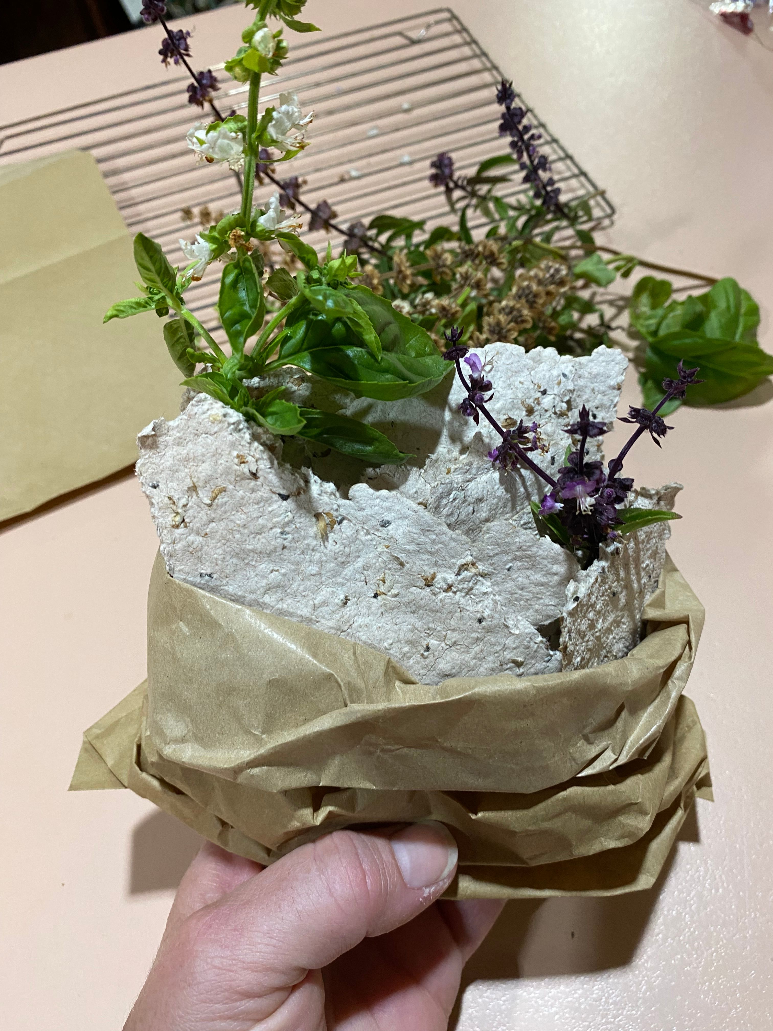 How to make plantable seed paper | Bunnings Workshop community