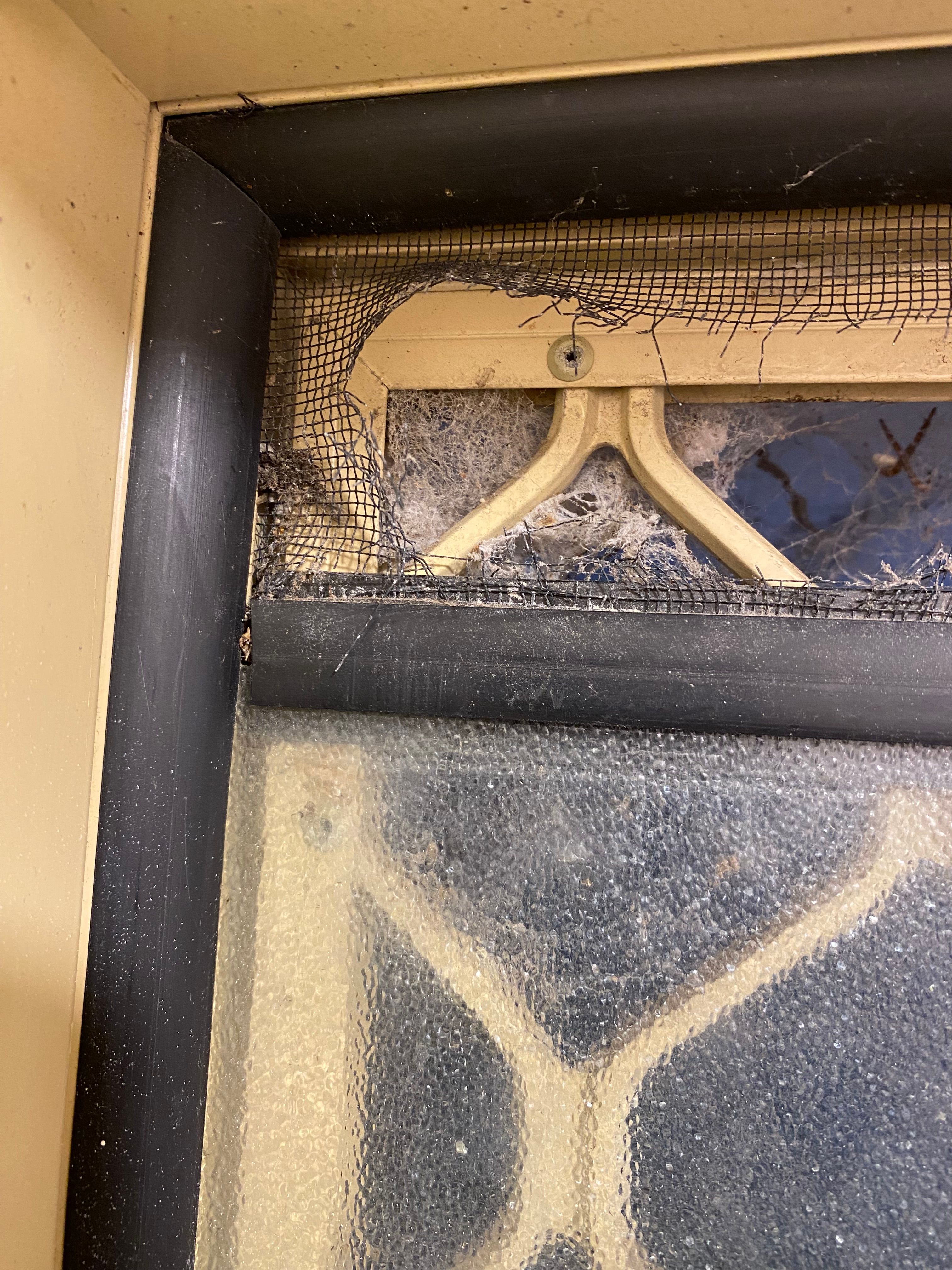 How can I fix this odd fly wire set up o... | Bunnings Workshop community