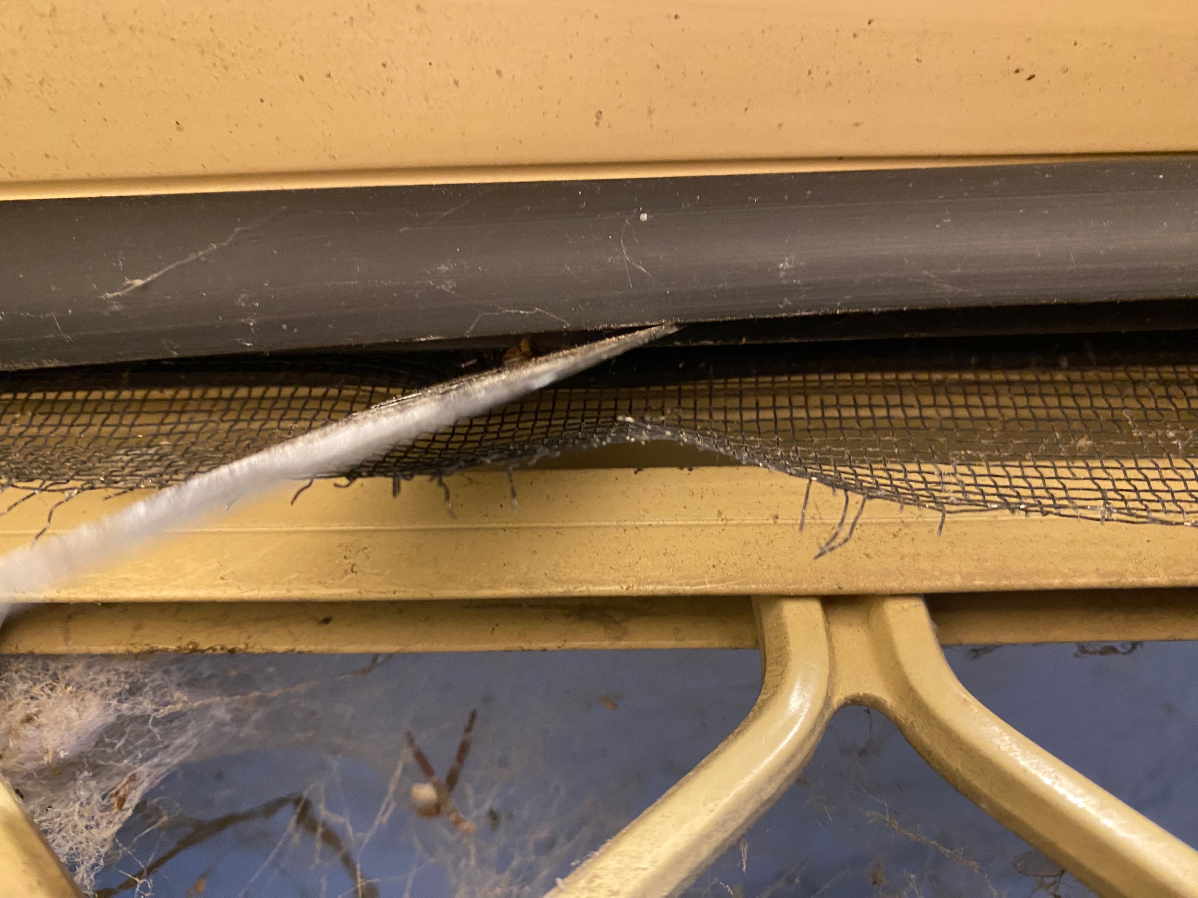 How can I fix this odd fly wire set up o... | Bunnings Workshop community