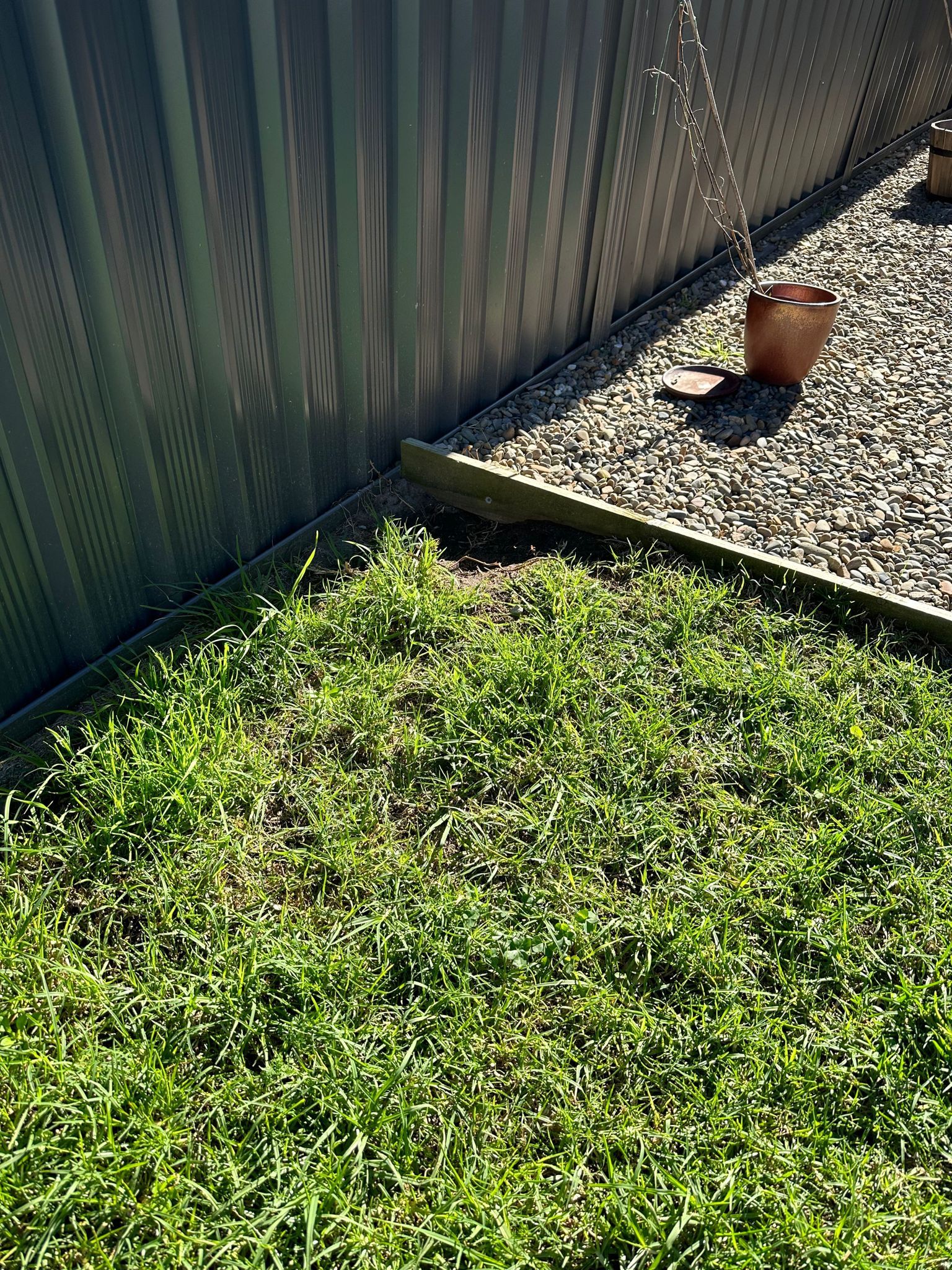 How to level my backyard and restore the... | Bunnings Workshop community