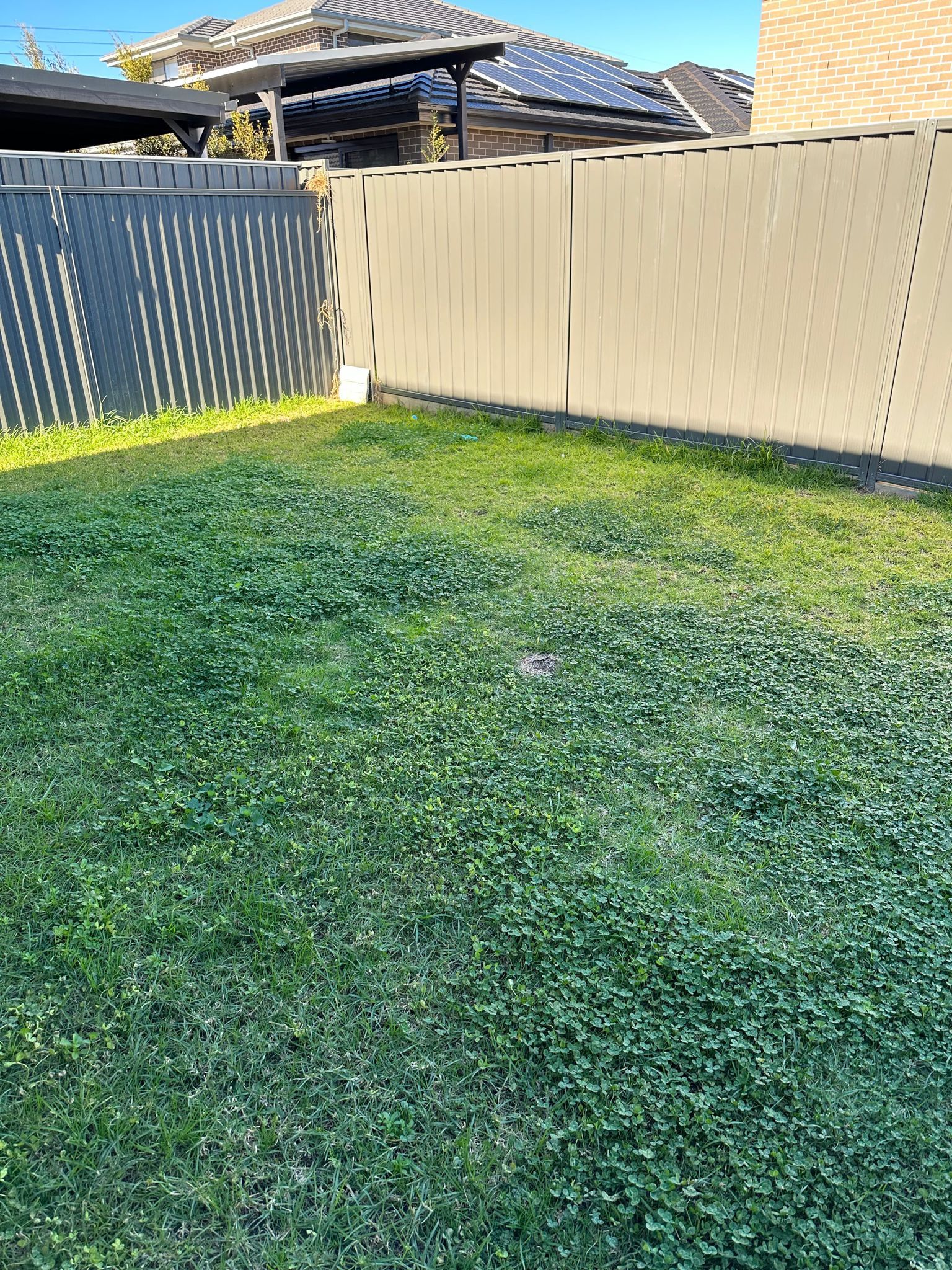 How to level my backyard and restore the... | Bunnings Workshop community