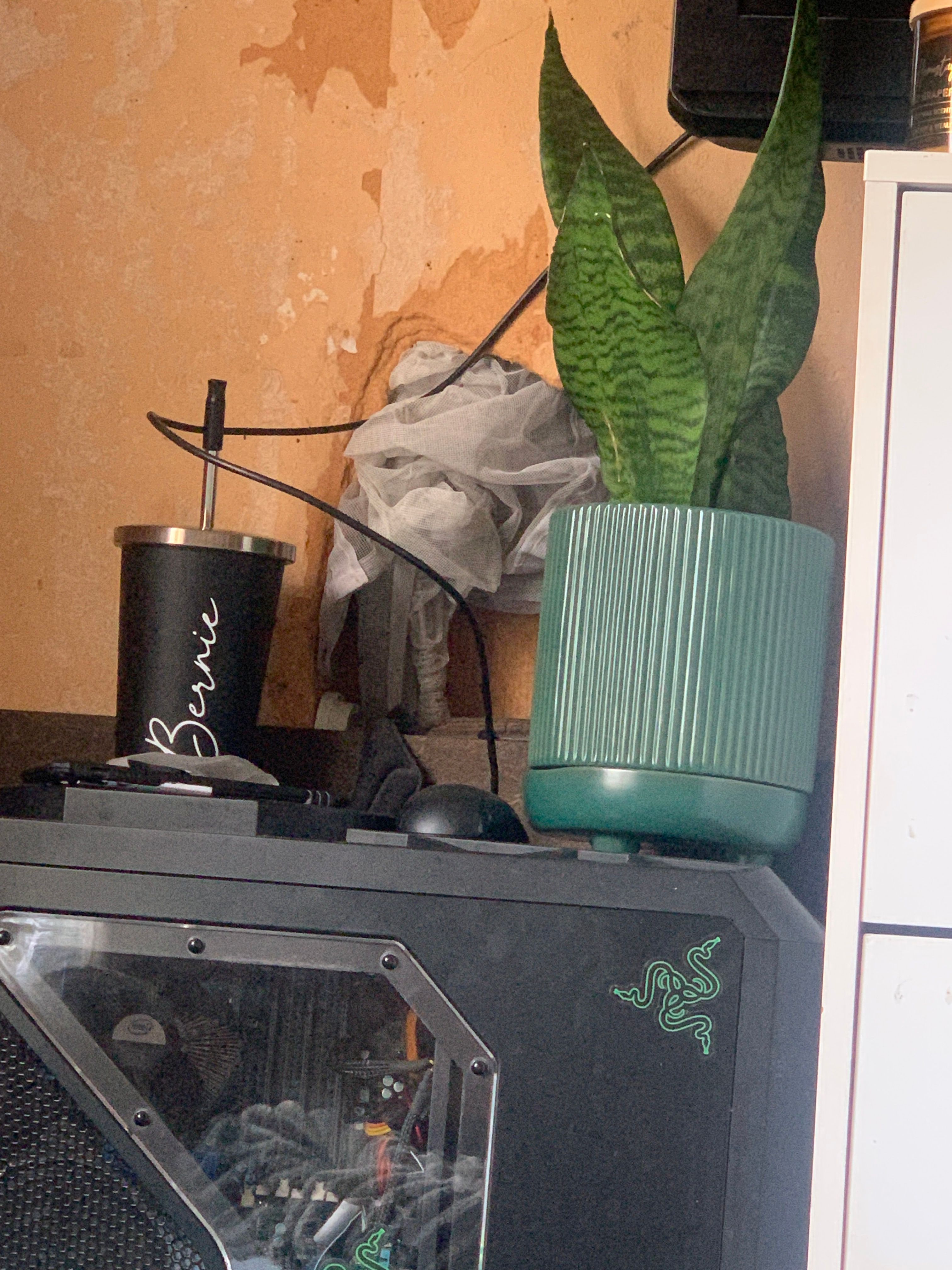 How to prevent wind drafts in an old hou... | Bunnings Workshop community