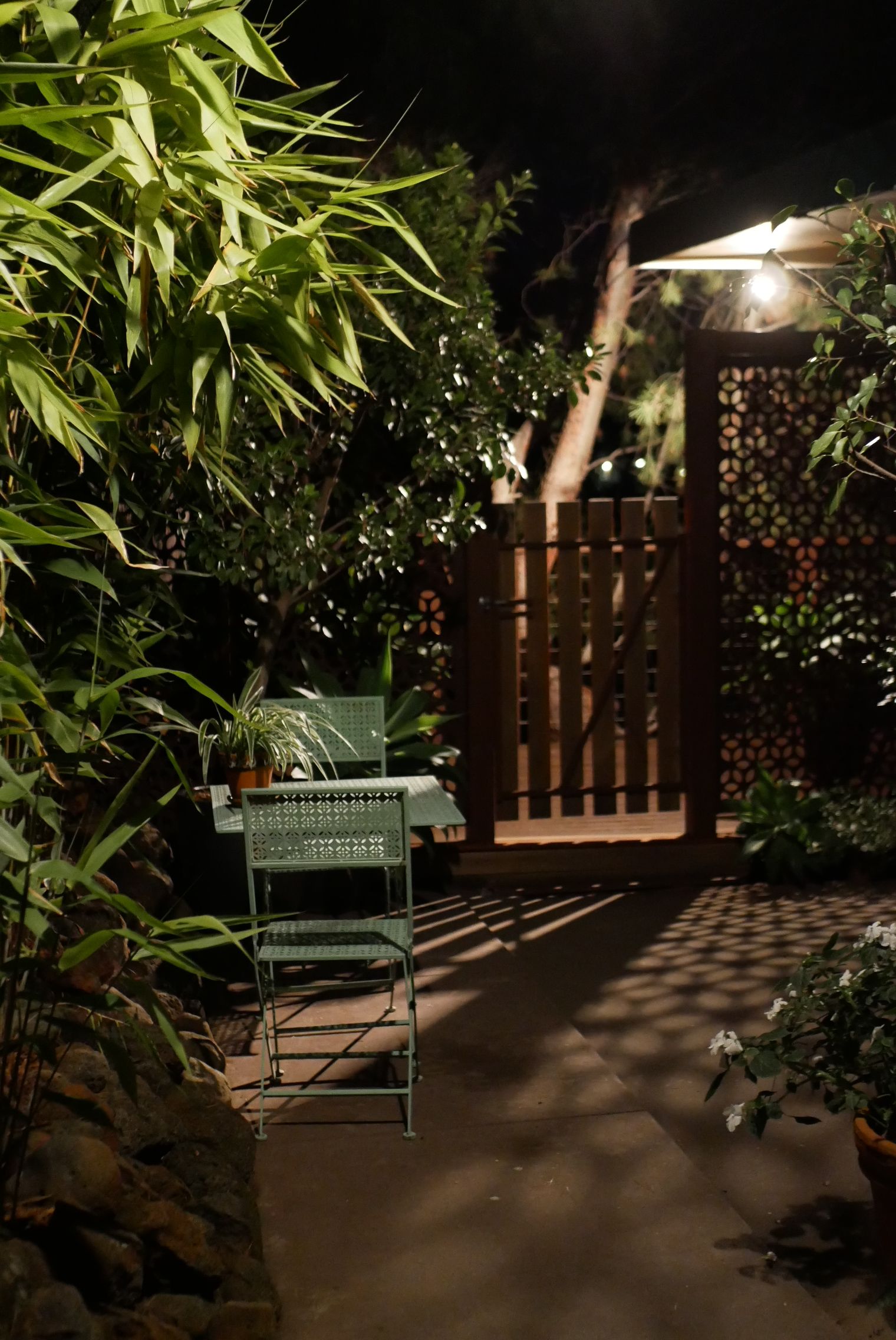 Courtyard privacy screen and gate | Bunnings Workshop community