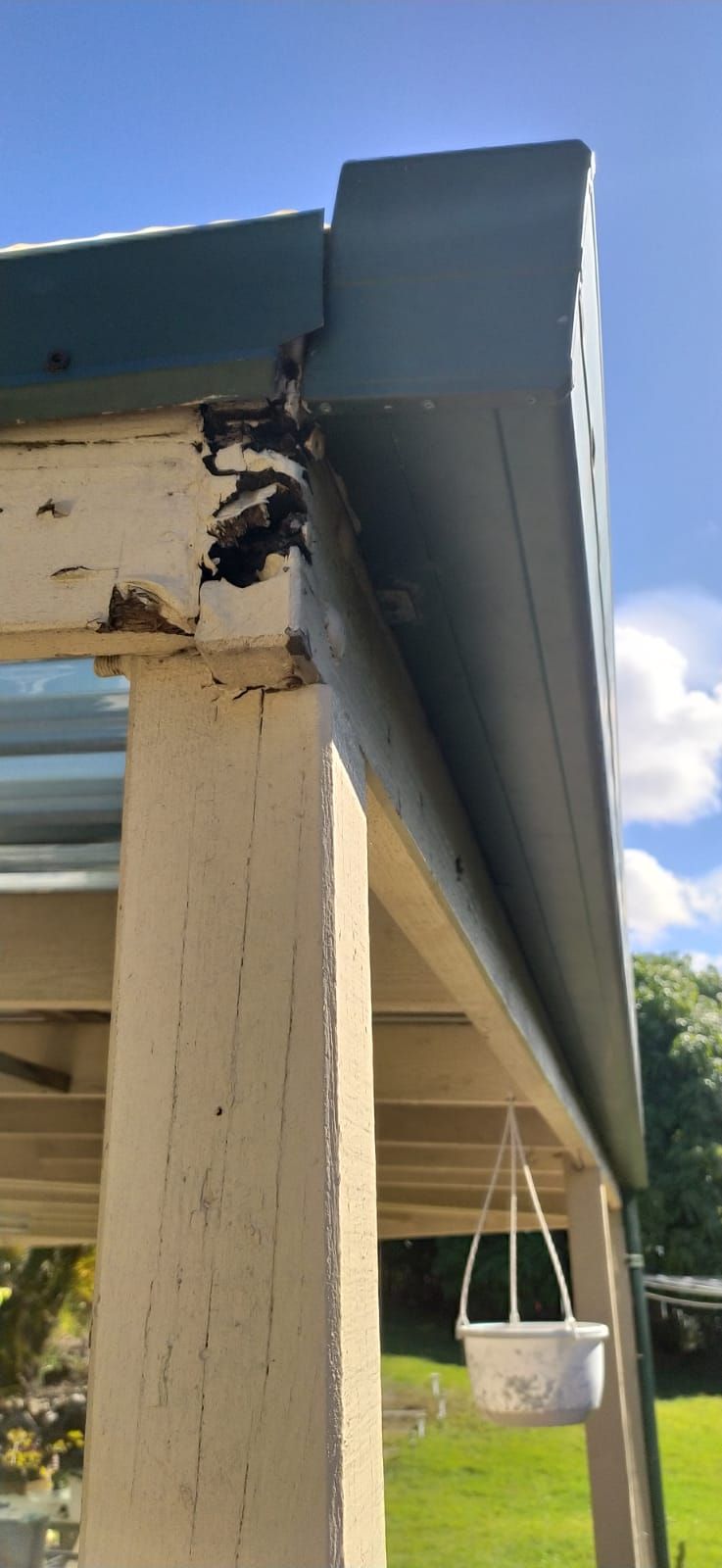 How to repair rotten timber underneath r... | Bunnings Workshop community