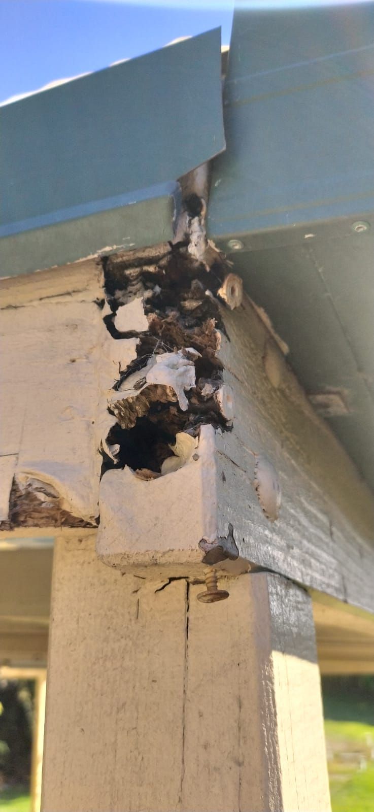 How to repair rotten timber underneath r... | Bunnings Workshop community