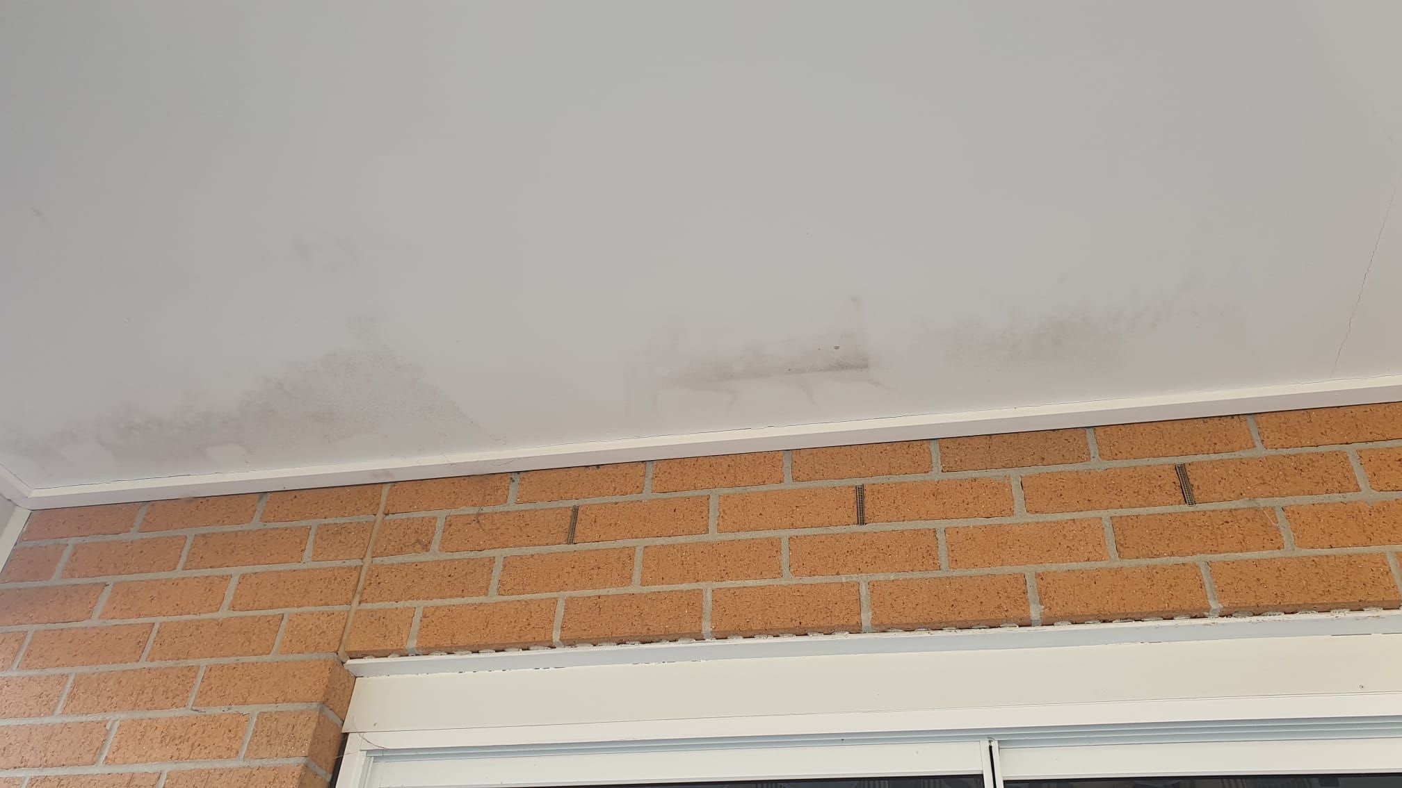 What is causing this dampness on ceiling... | Bunnings Workshop community