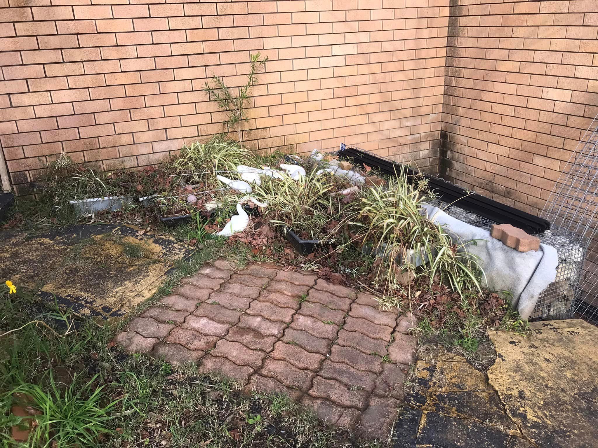 Landscaping front yard | Bunnings Workshop community