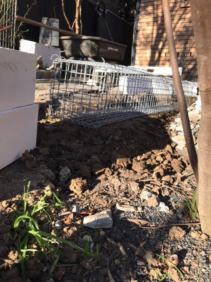 Gabion wall for front pathway | Bunnings Workshop community