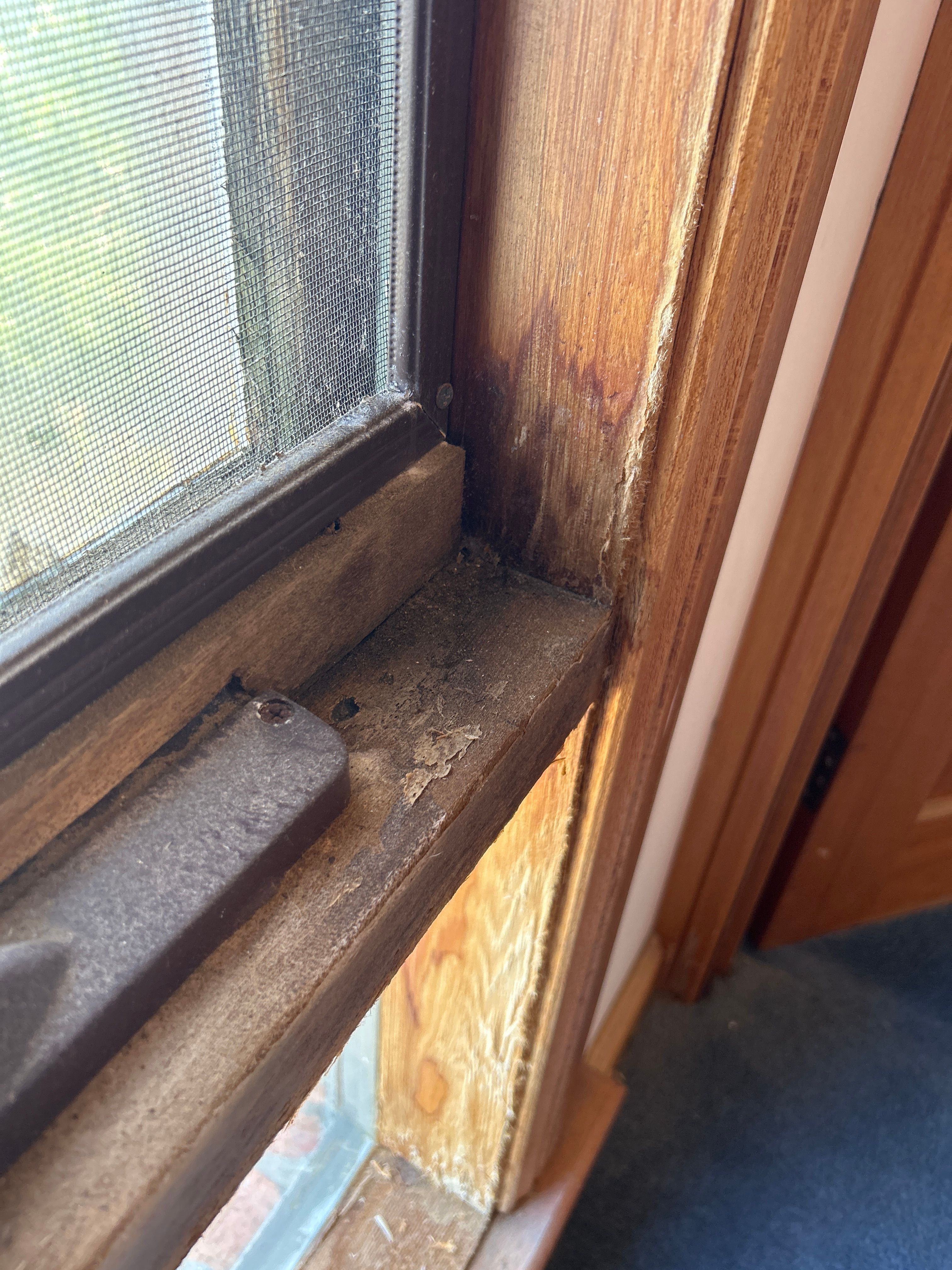 How to repair timber window frames? | Bunnings Workshop community