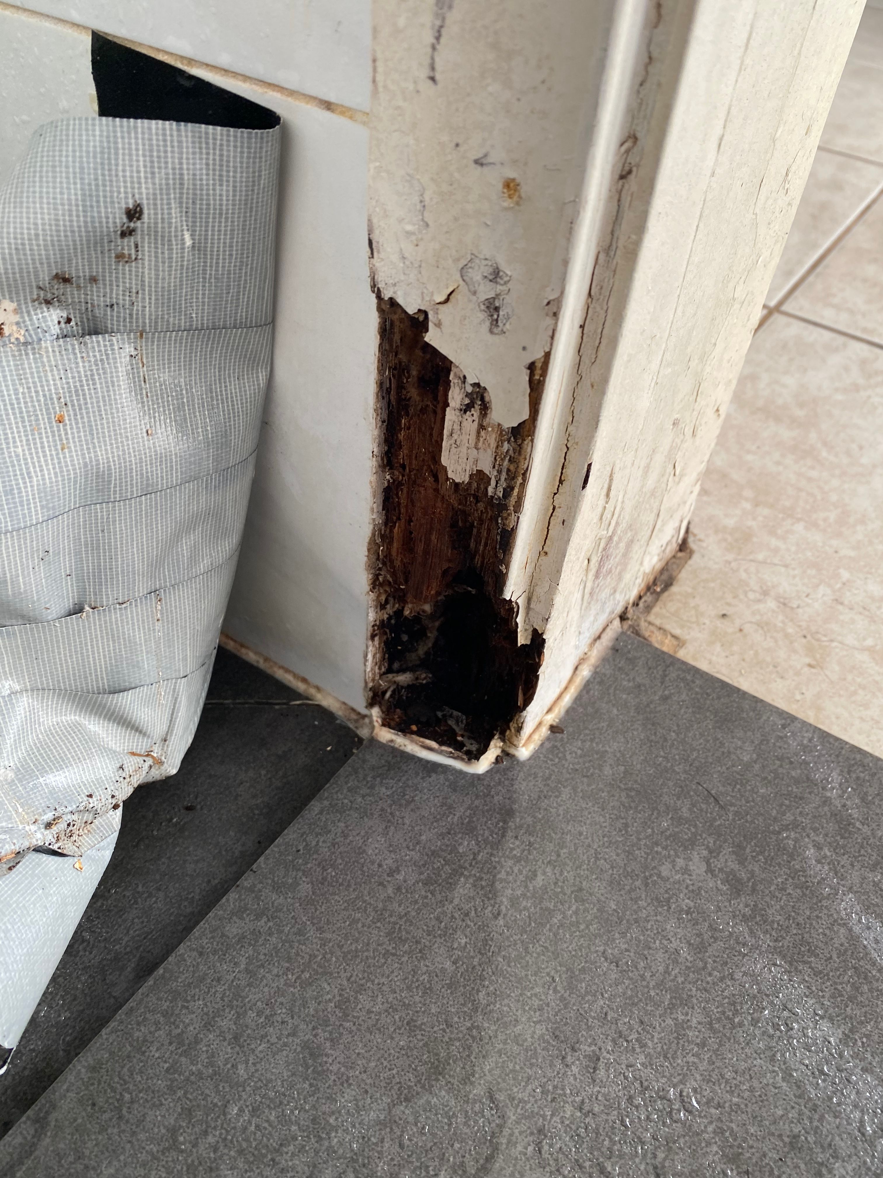 How to repair rotted wood and waterproof... | Bunnings Workshop community