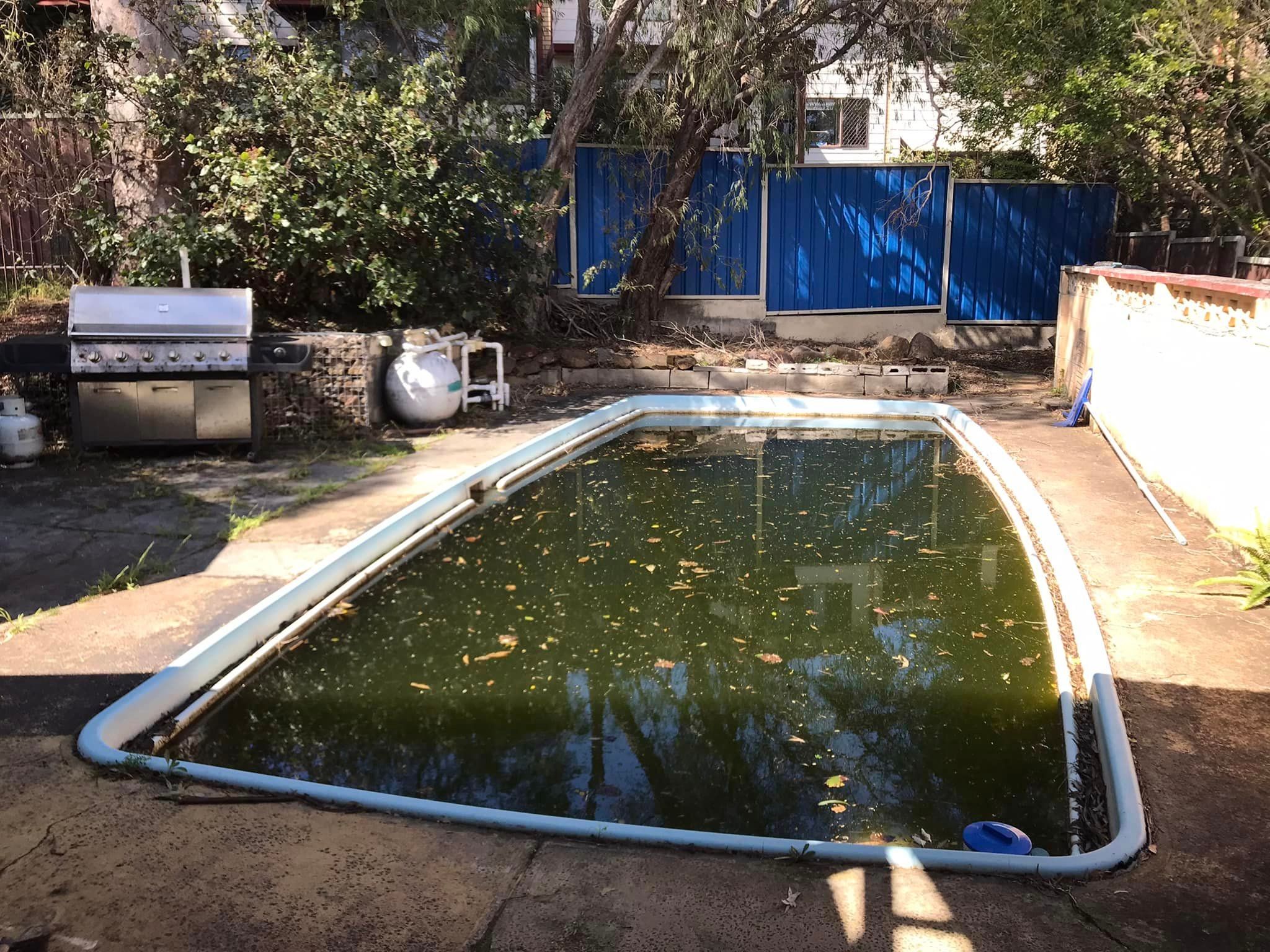 Clean pool of dark green algae | Bunnings Workshop community