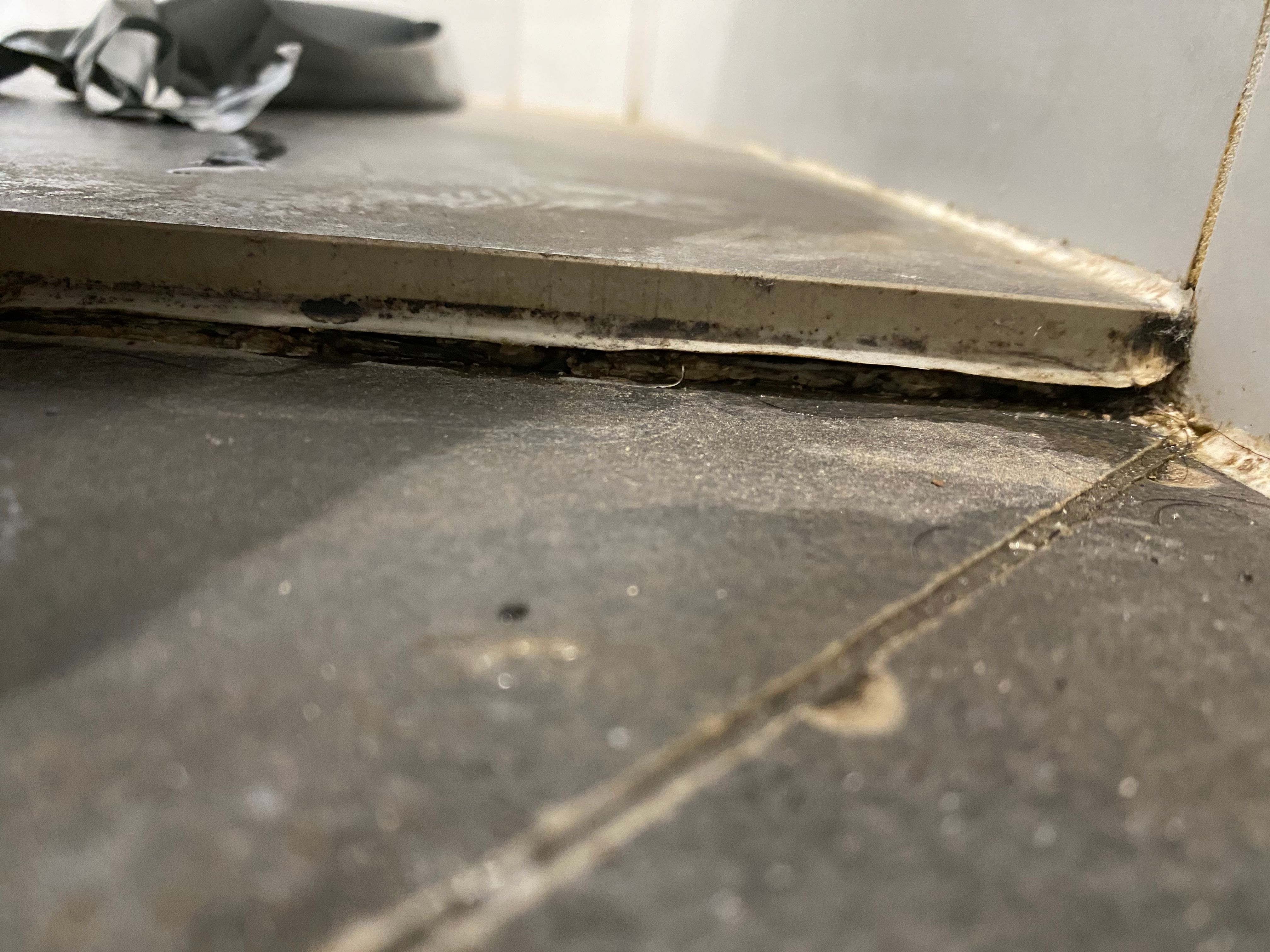 How to repair rotted wood and waterproof... | Bunnings Workshop community